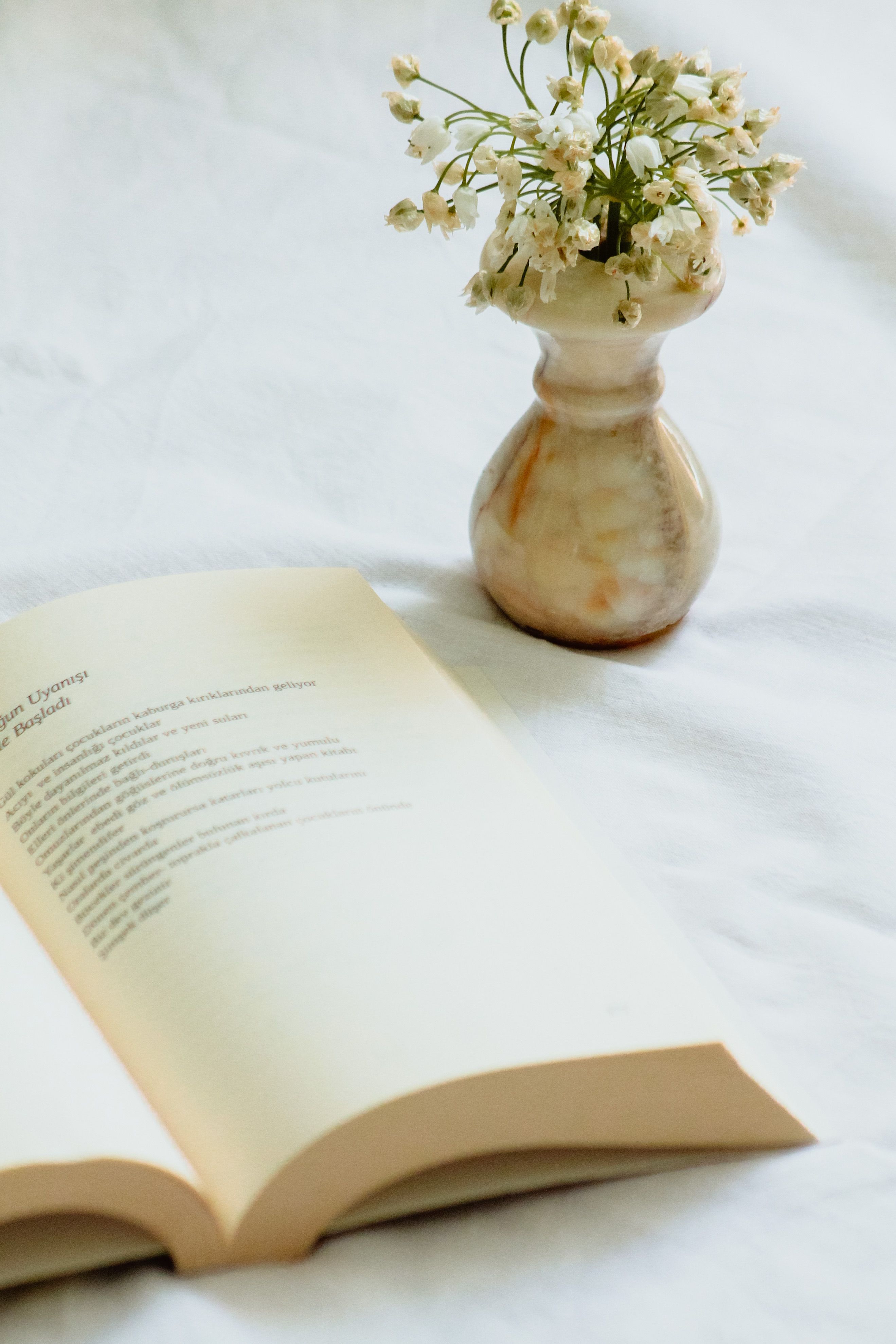 An Opened Book and a Small Vase with Flowers · Free Stock Photo