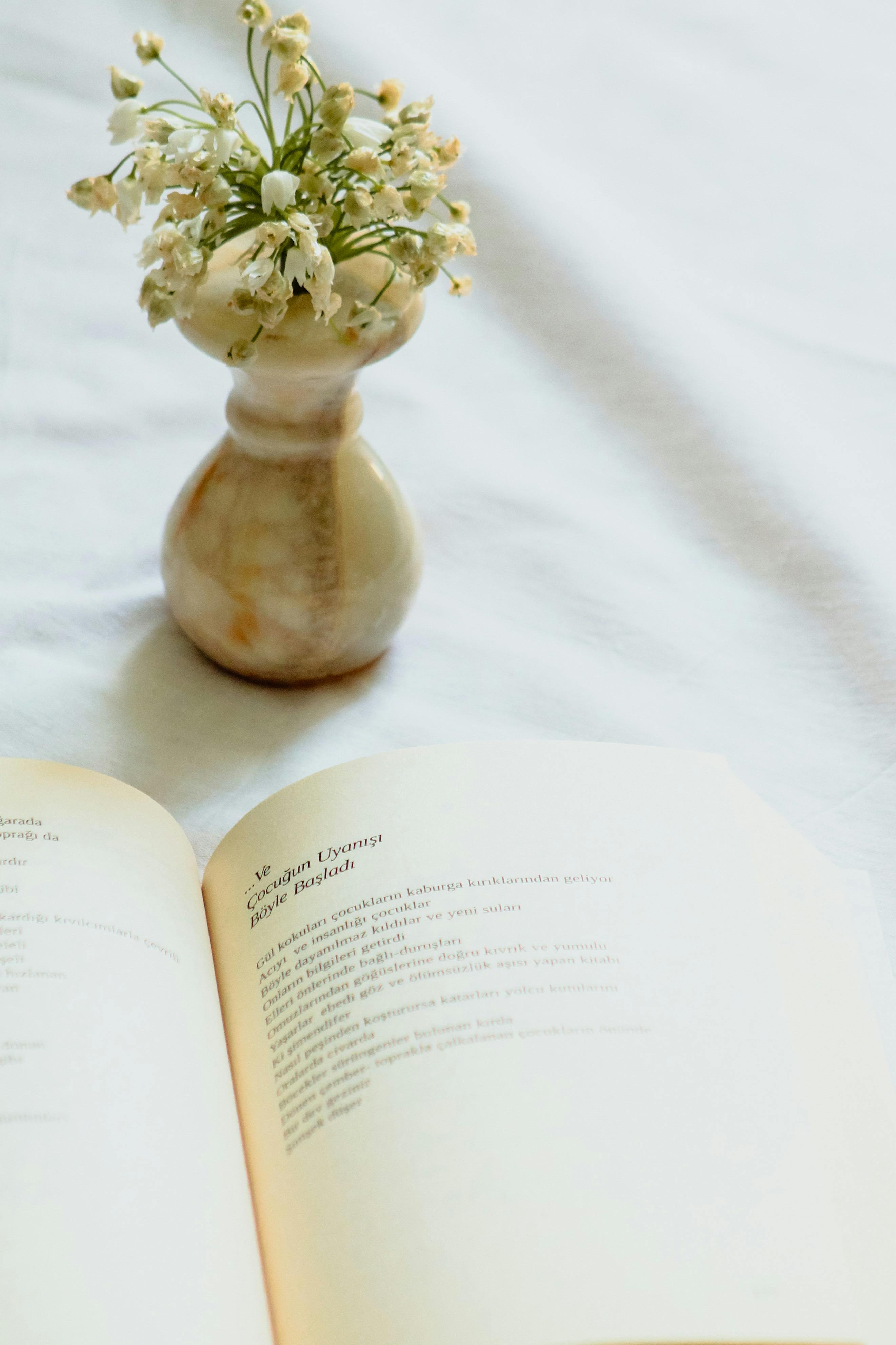 High Angle Shot of an Open Book · Free Stock Photo