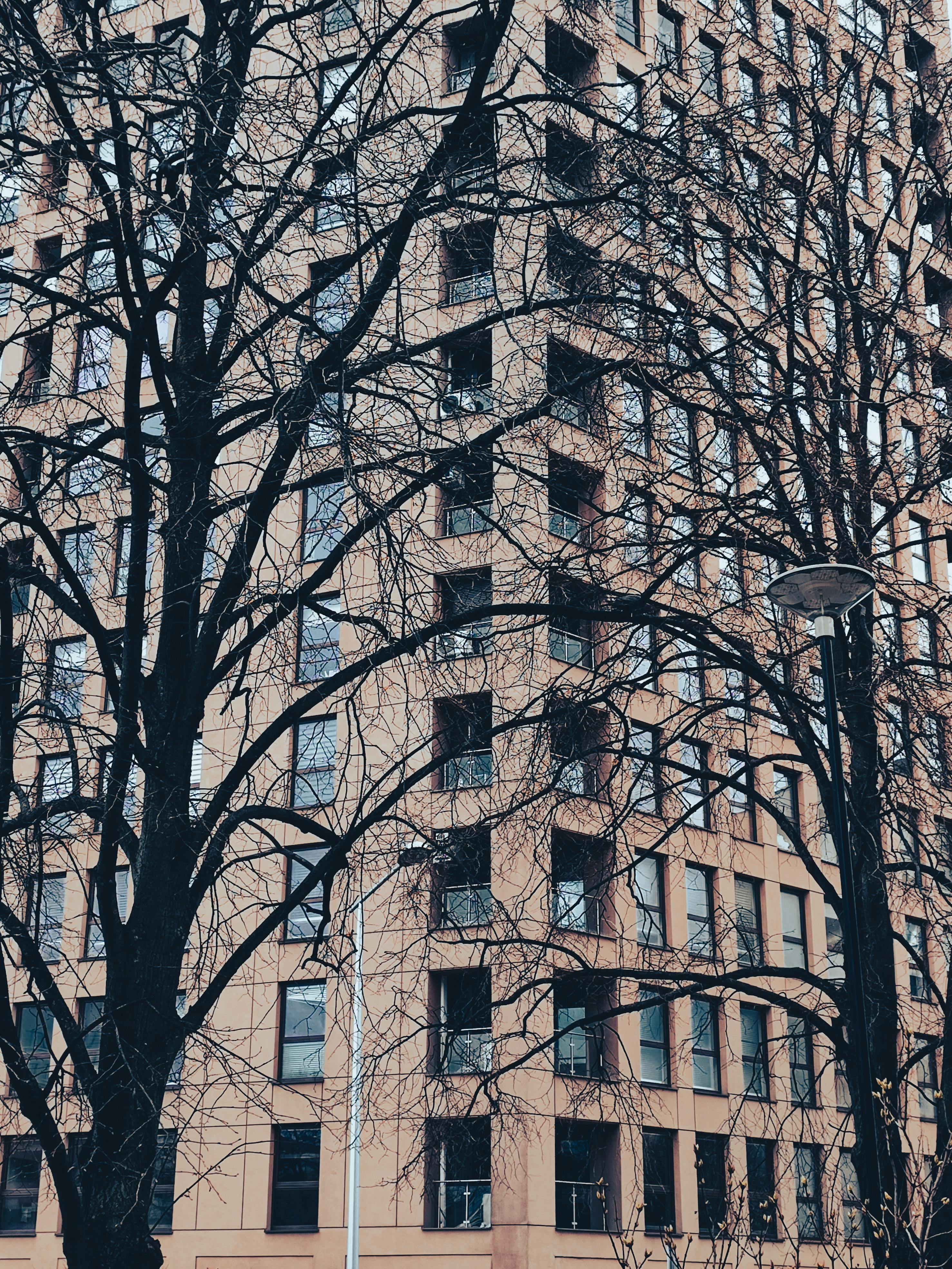 A Building in a City in Autumn · Free Stock Photo