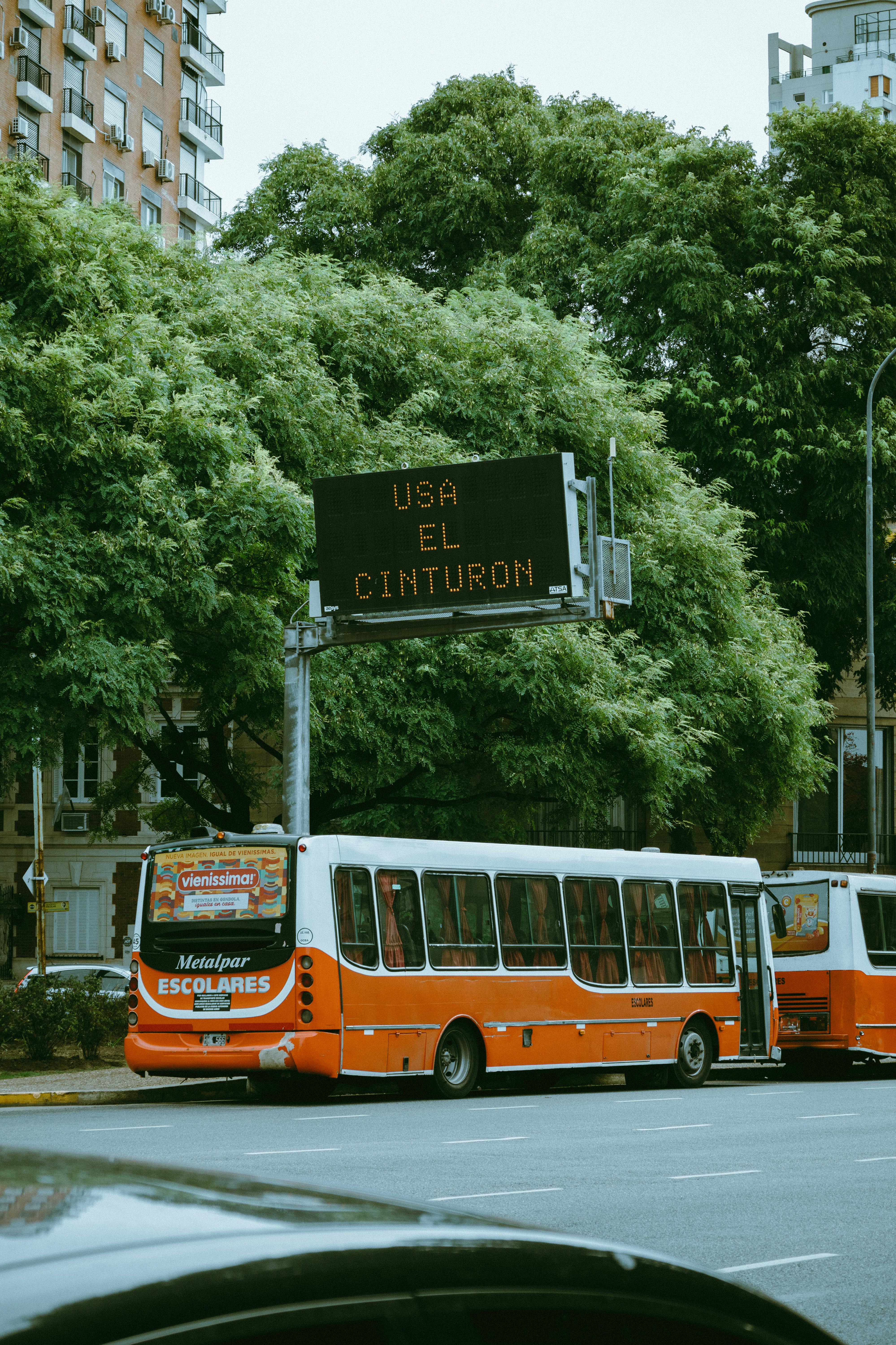 Bus on Street · Free Stock Photo