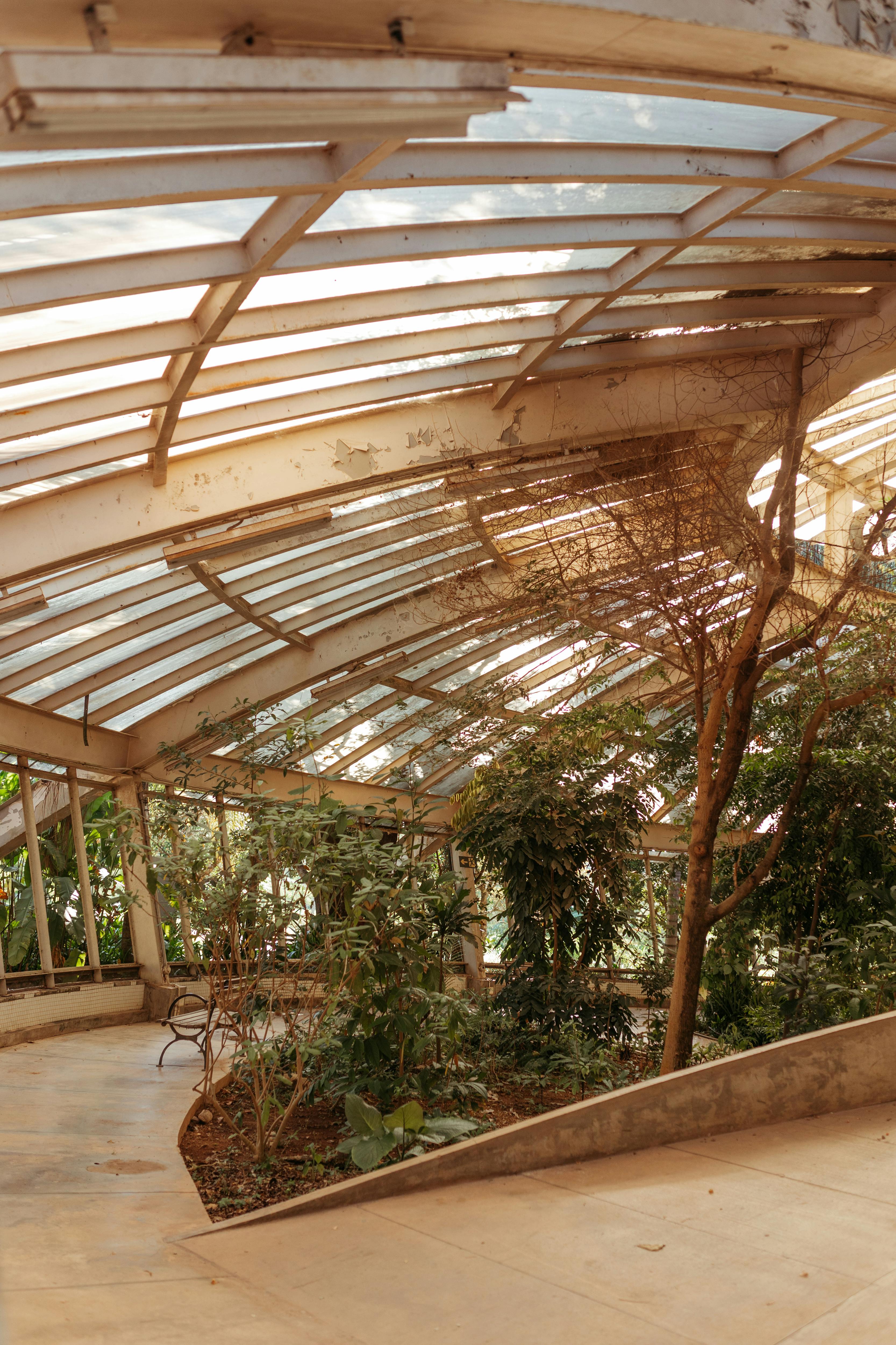 Openwork Construction with Trees and Plants · Free Stock Photo