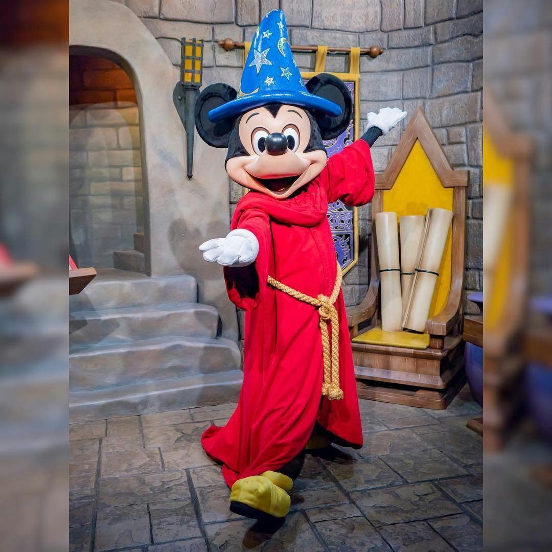 Sorcerer Mickey 10 Photos & Videos Collected by Kendrick Rupp
