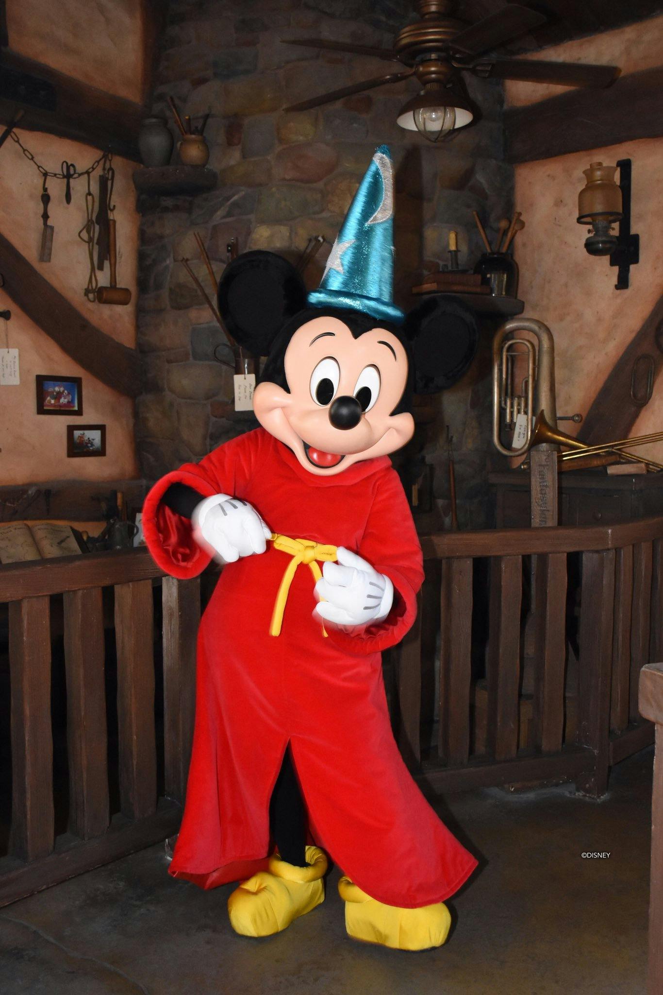 Sorcerer Mickey 10 Photos & Videos Collected by Kendrick Rupp