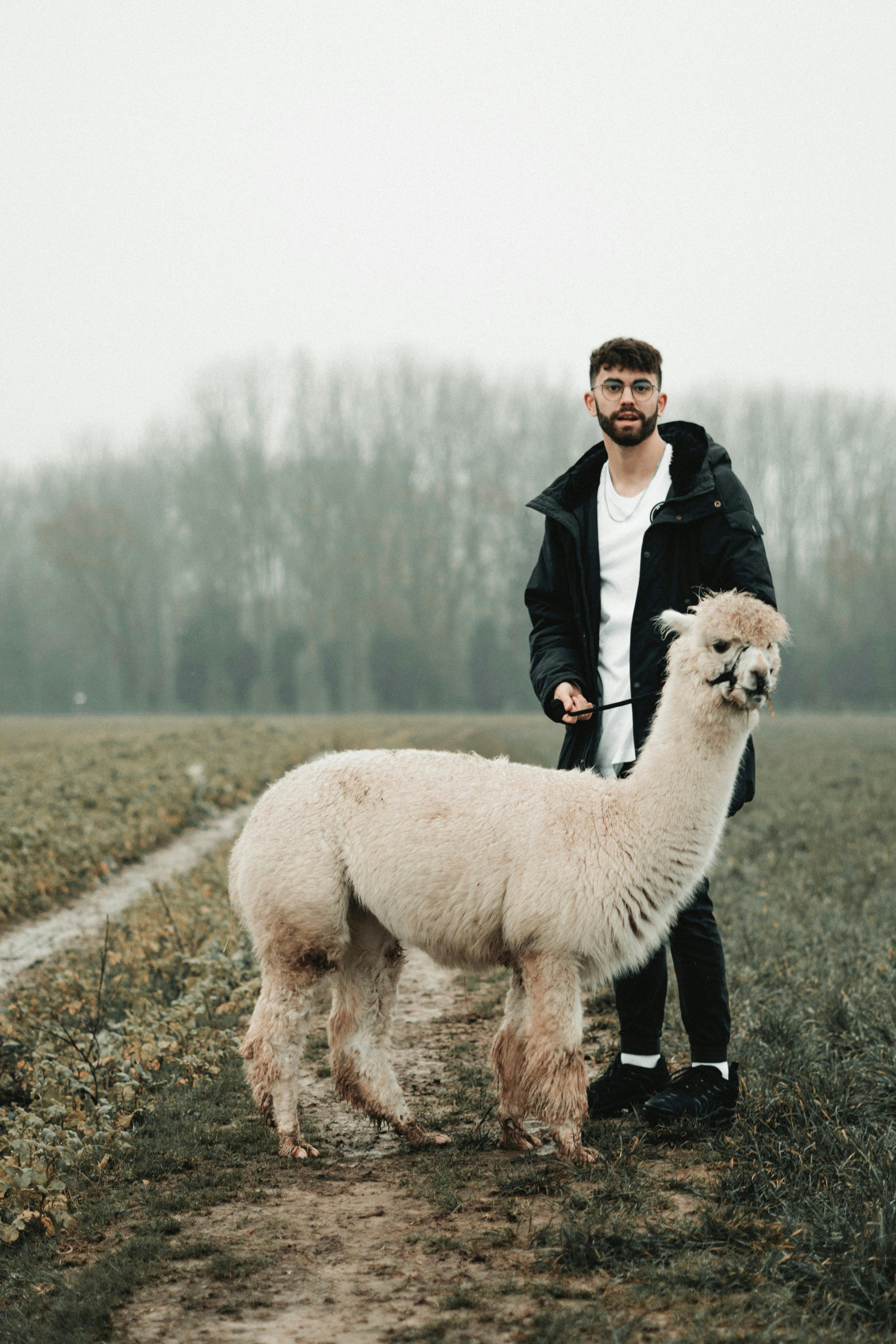 Portrait of a Man with a Llama · Free Stock Photo