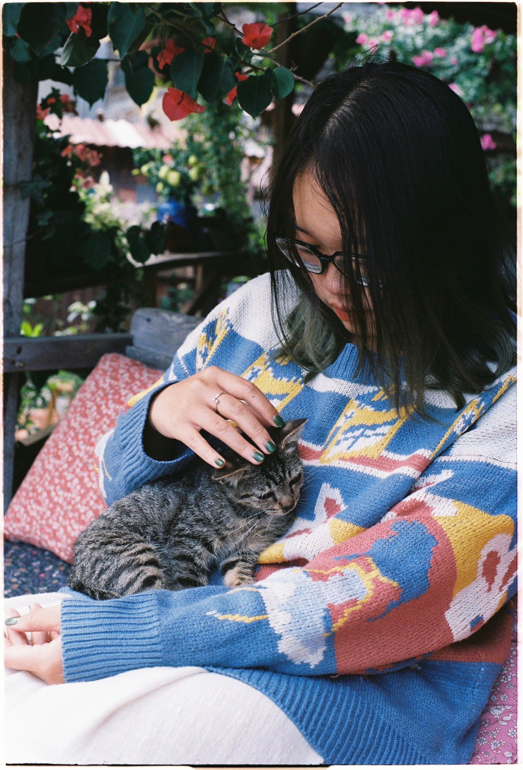 Woman with Kitten · Free Stock Photo
