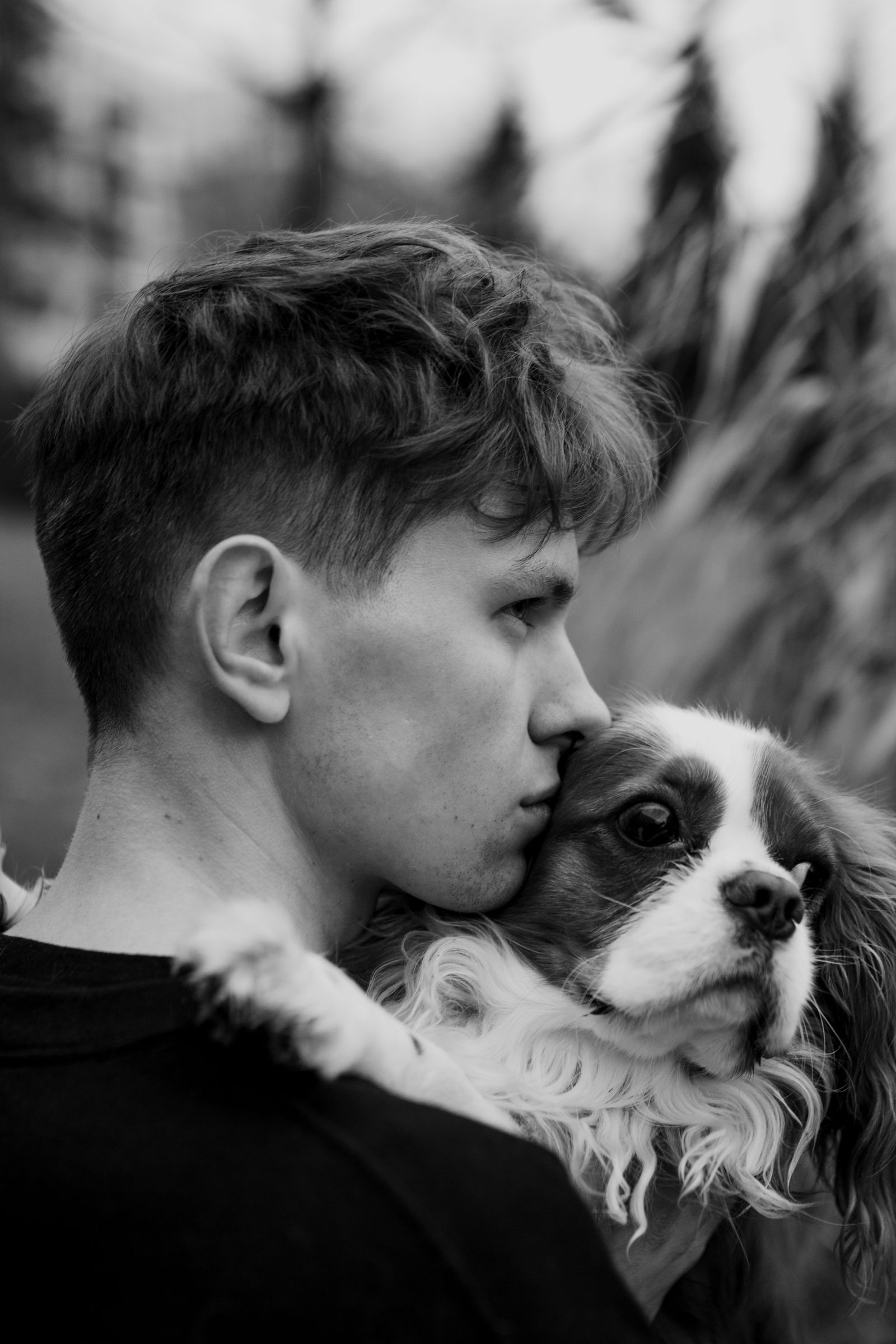 Man With Dog Photos, Download The BEST Free Man With Dog Stock Photos ...