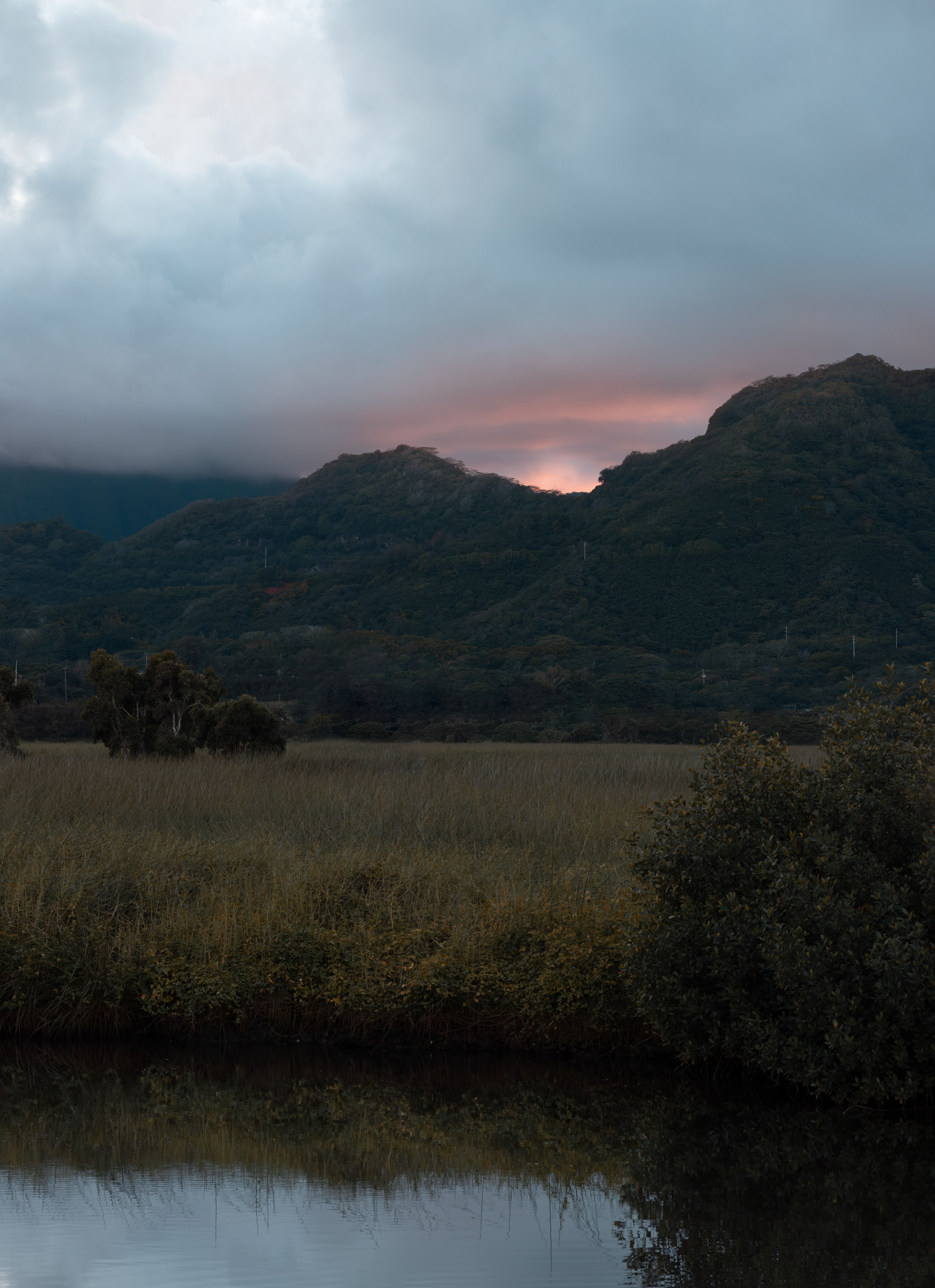 View of a Field at Dusk · Free Stock Photo