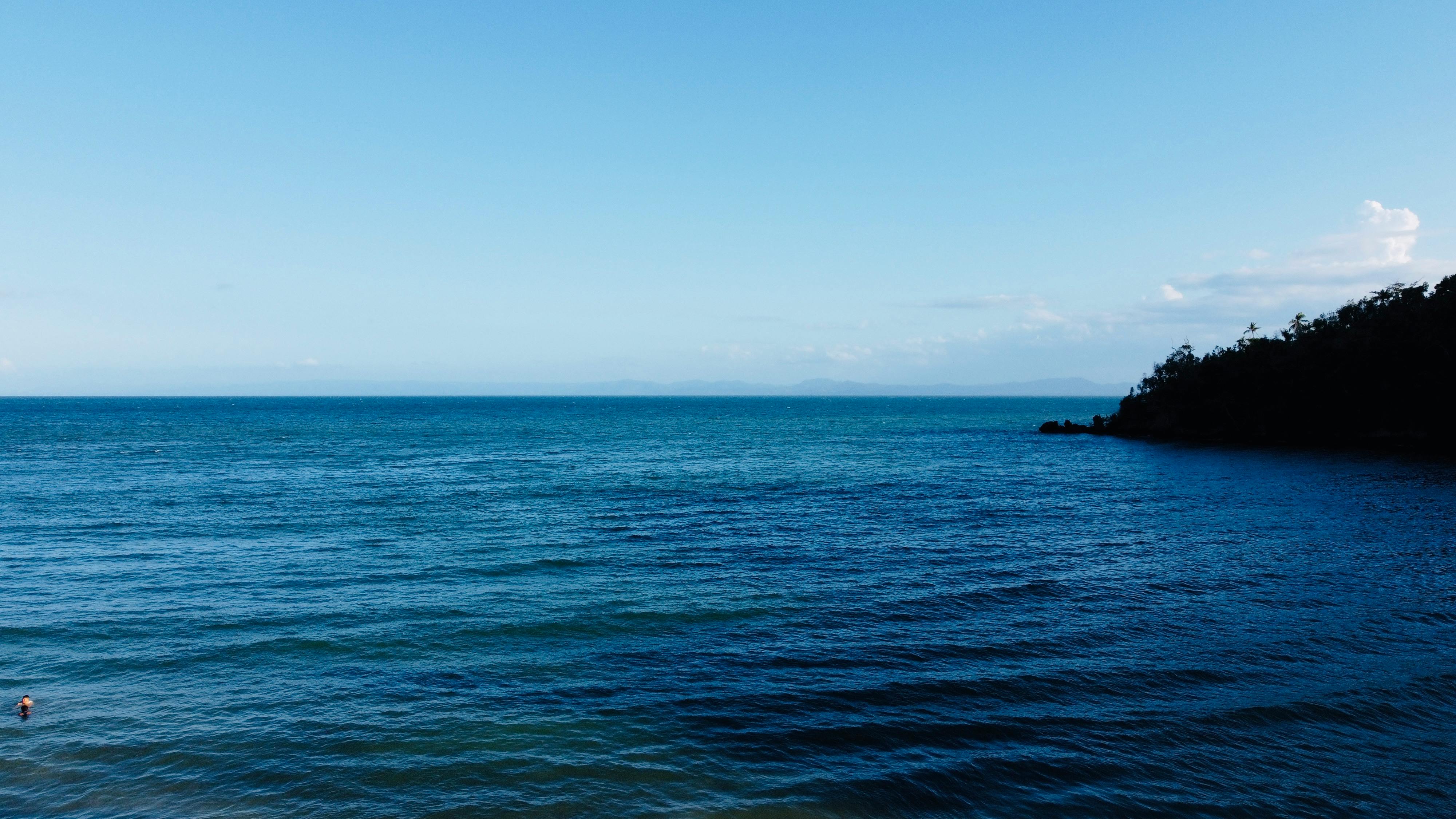 Sea Forest Photos, Download The BEST Free Sea Forest Stock Photos & HD ...