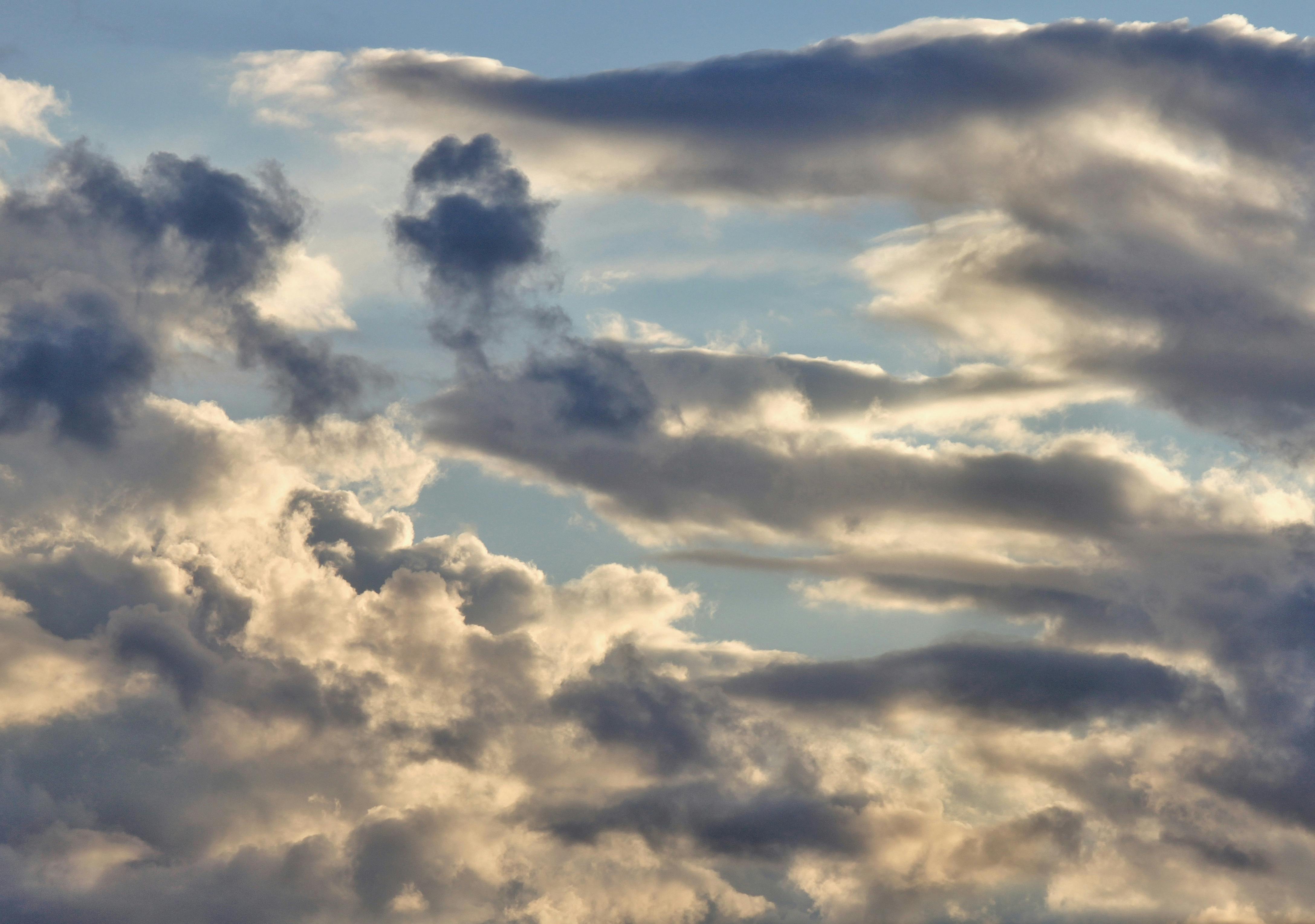 Photo of a Woman Sleeping Near Fluffy Clouds · Free Stock Photo