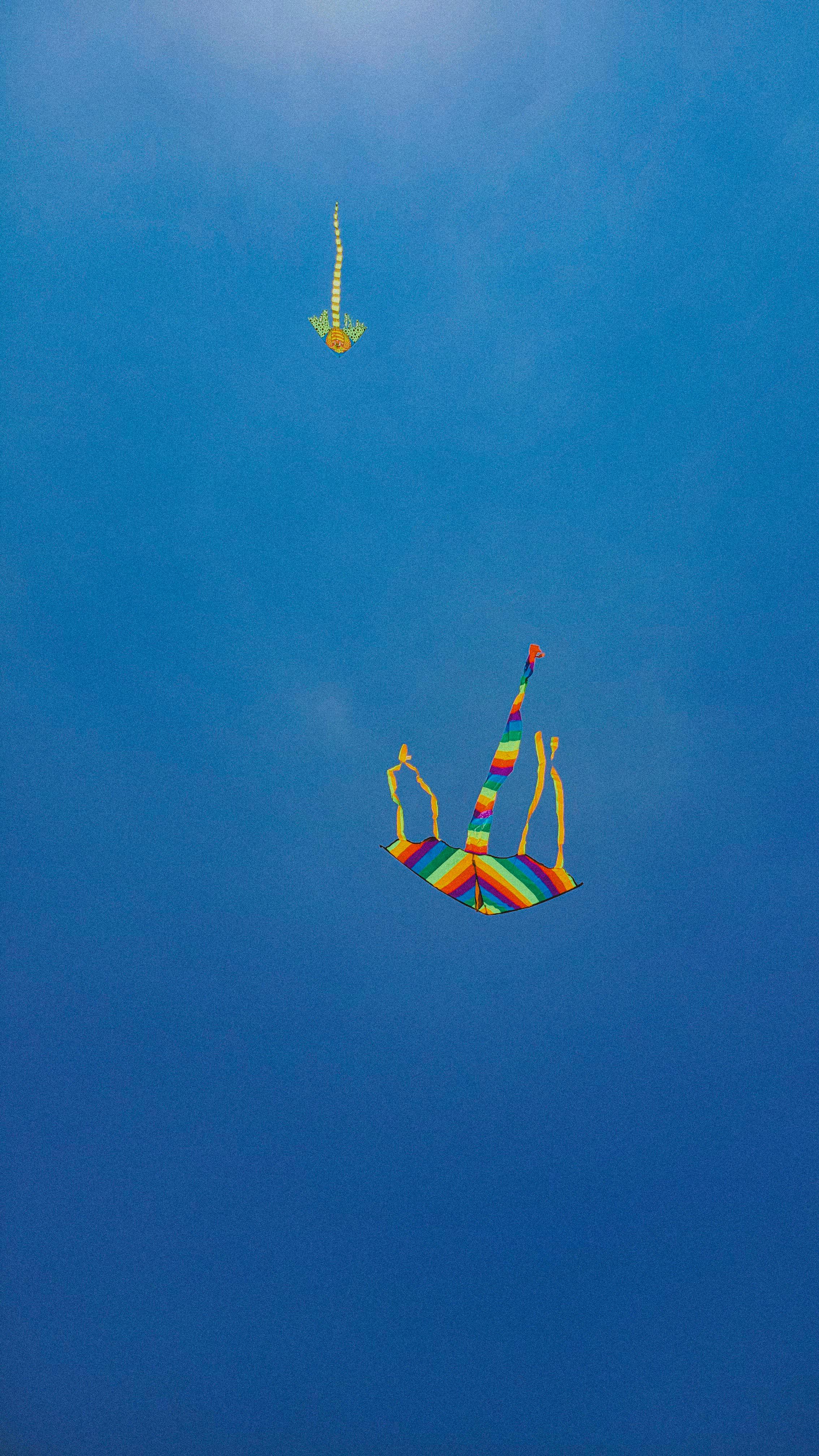 Multi Colored Kites Flying against Clear Sky · Free Stock Photo