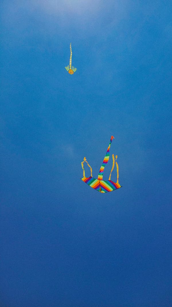 Kite Flying Photos, Download The BEST Free Kite Flying Stock Photos ...