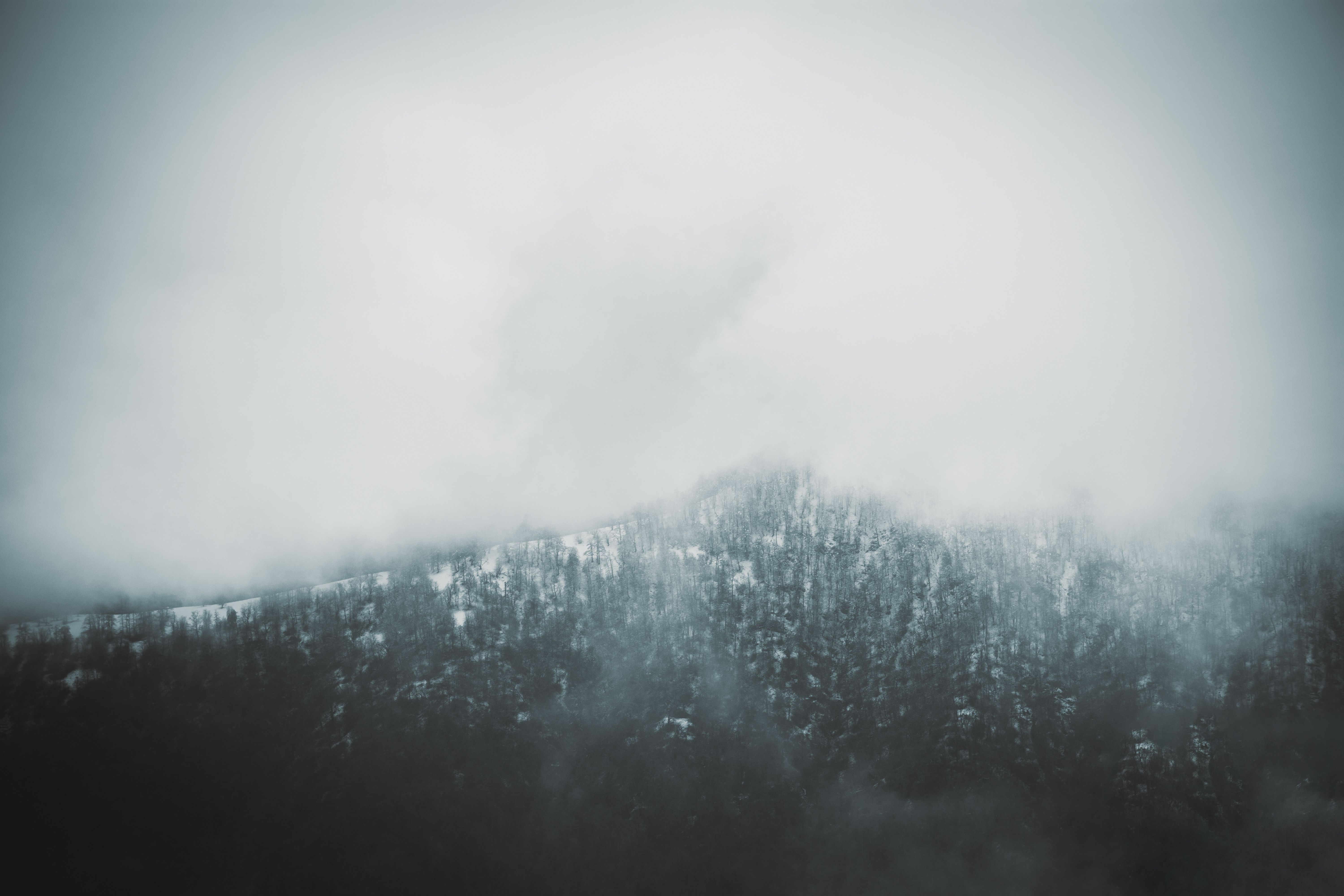 Mysterious spooky lane in dark forest · Free Stock Photo