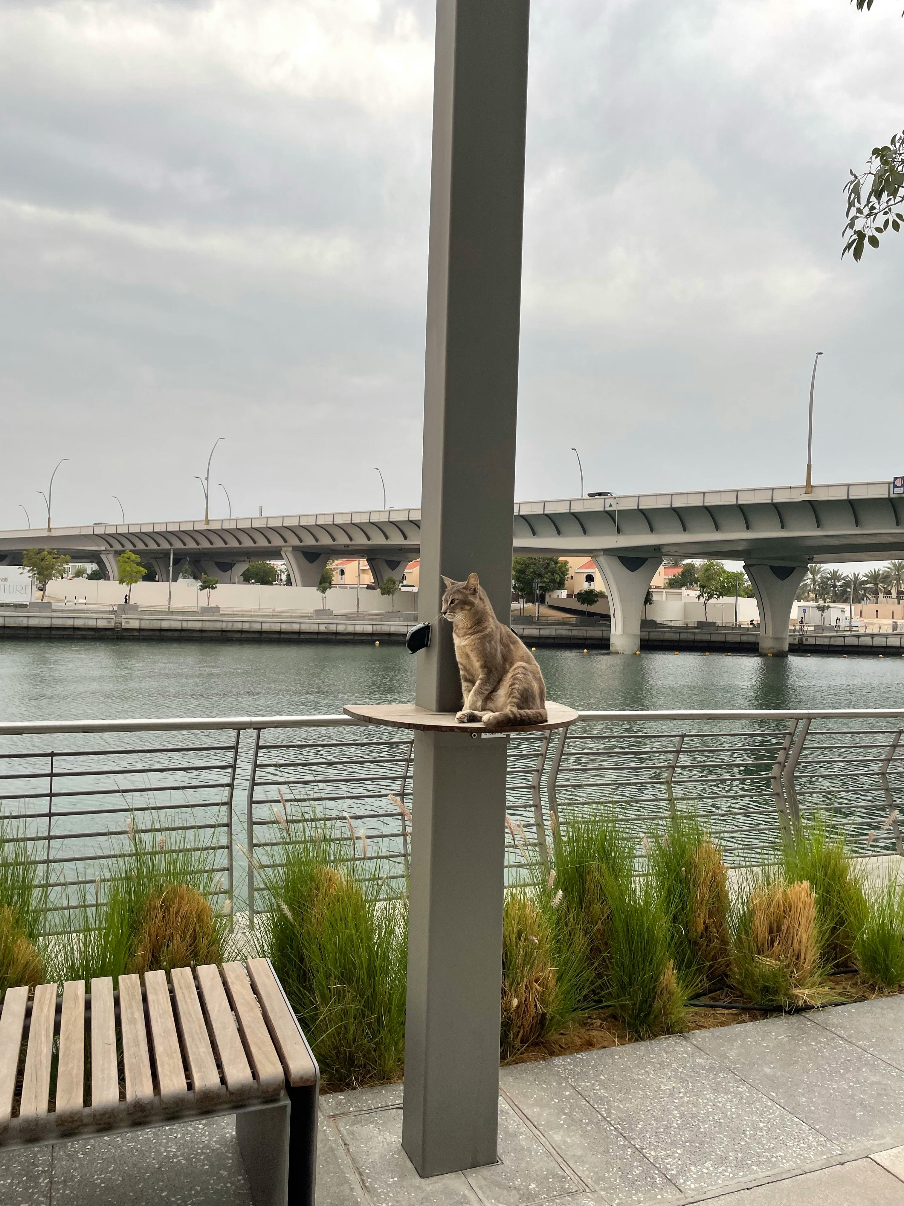 Globak Bridges Photos, Download The BEST Free Globak Bridges Stock ...