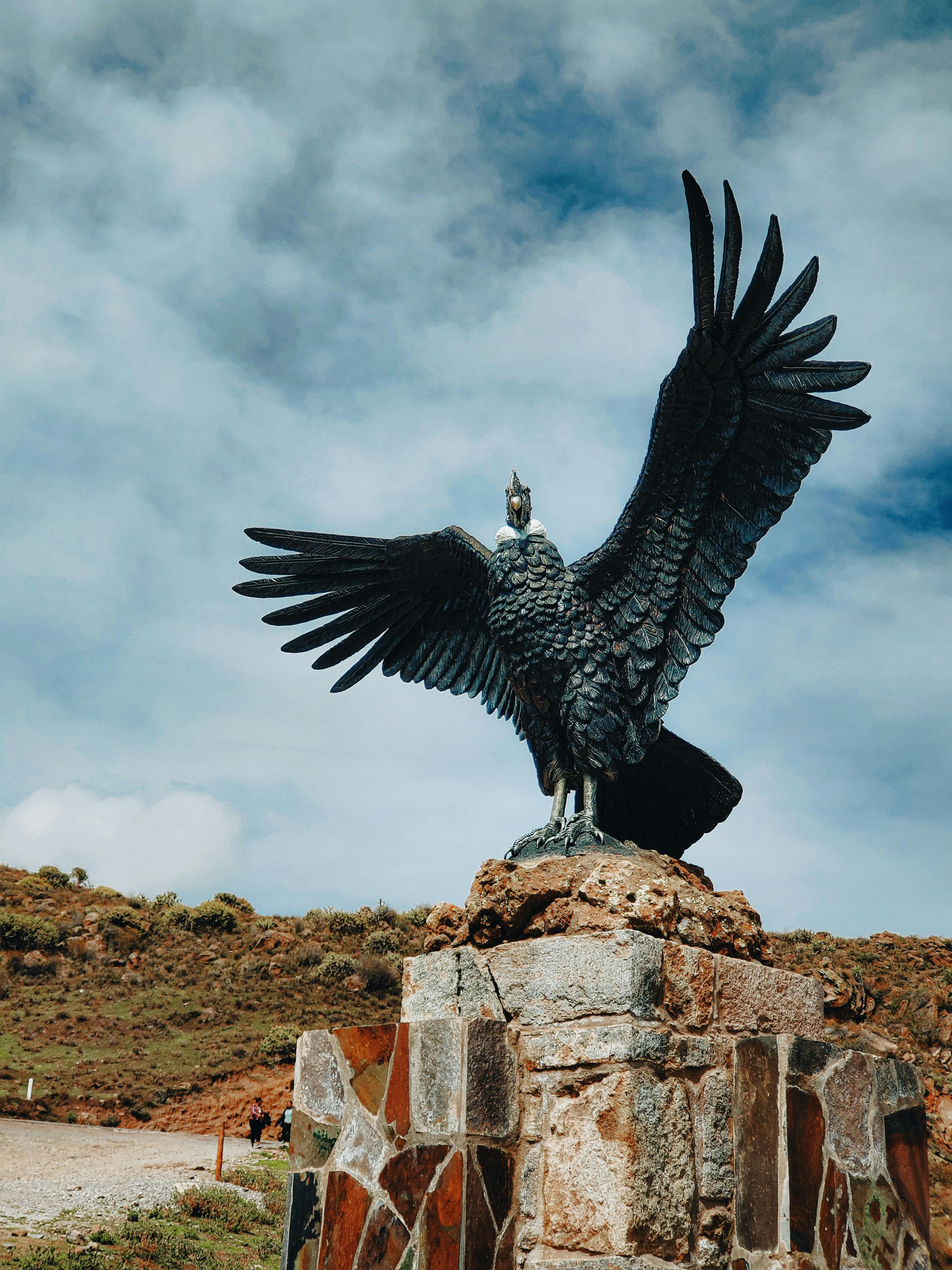 Bard Photos, Download The BEST Free Bard Stock Photos & HD Images