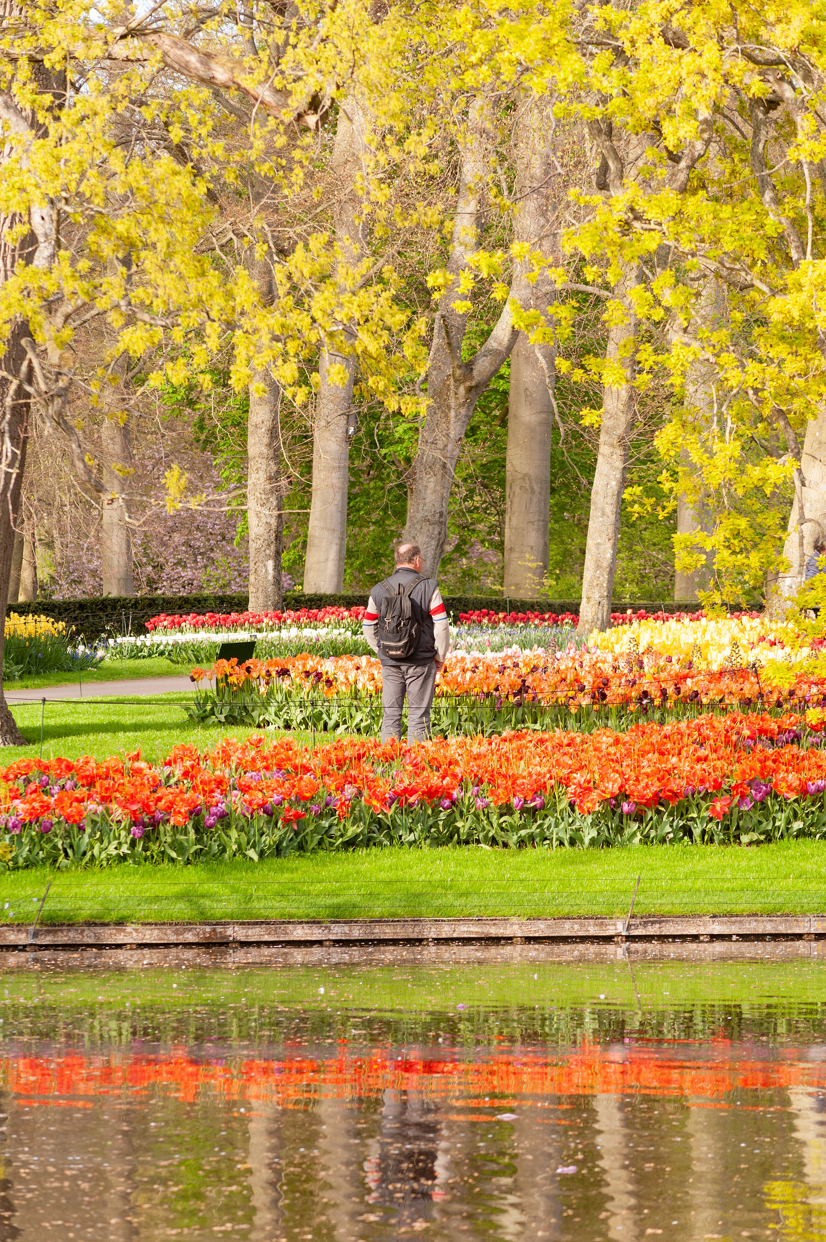 Man Standing in Spring Park · Free Stock Photo