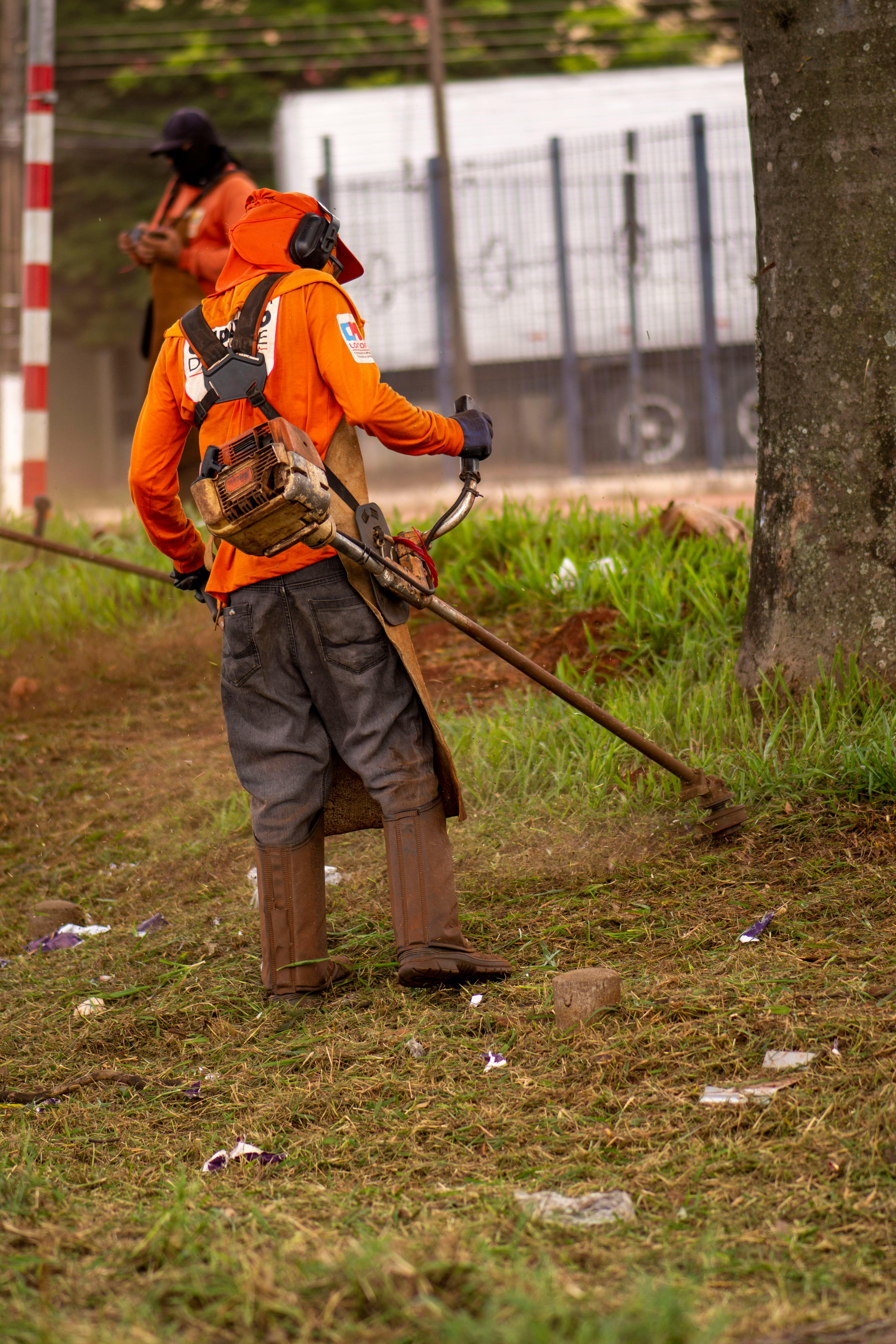Back View of Man Weed Whacking · Free Stock Photo