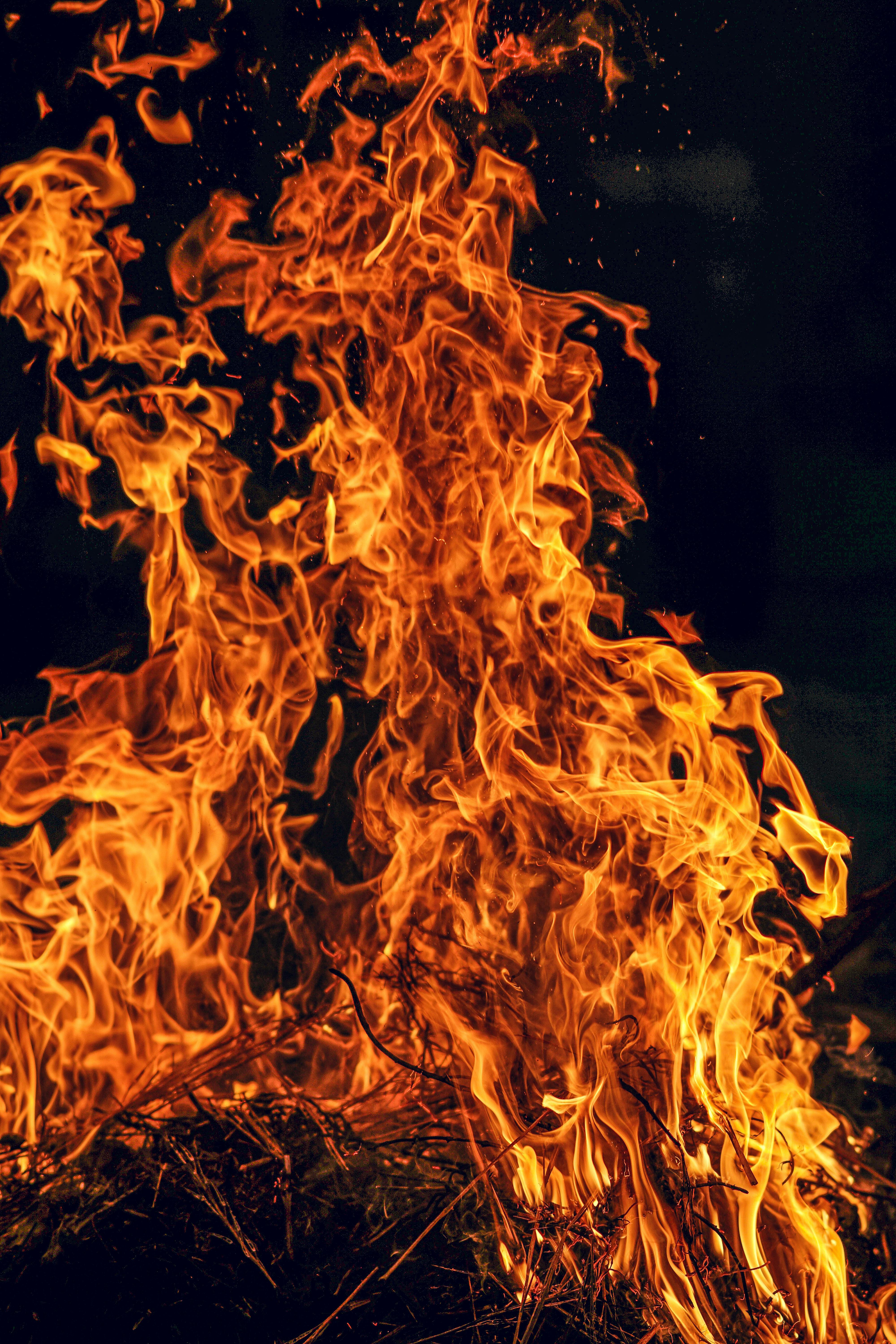 Person Near Fire · Free Stock Photo