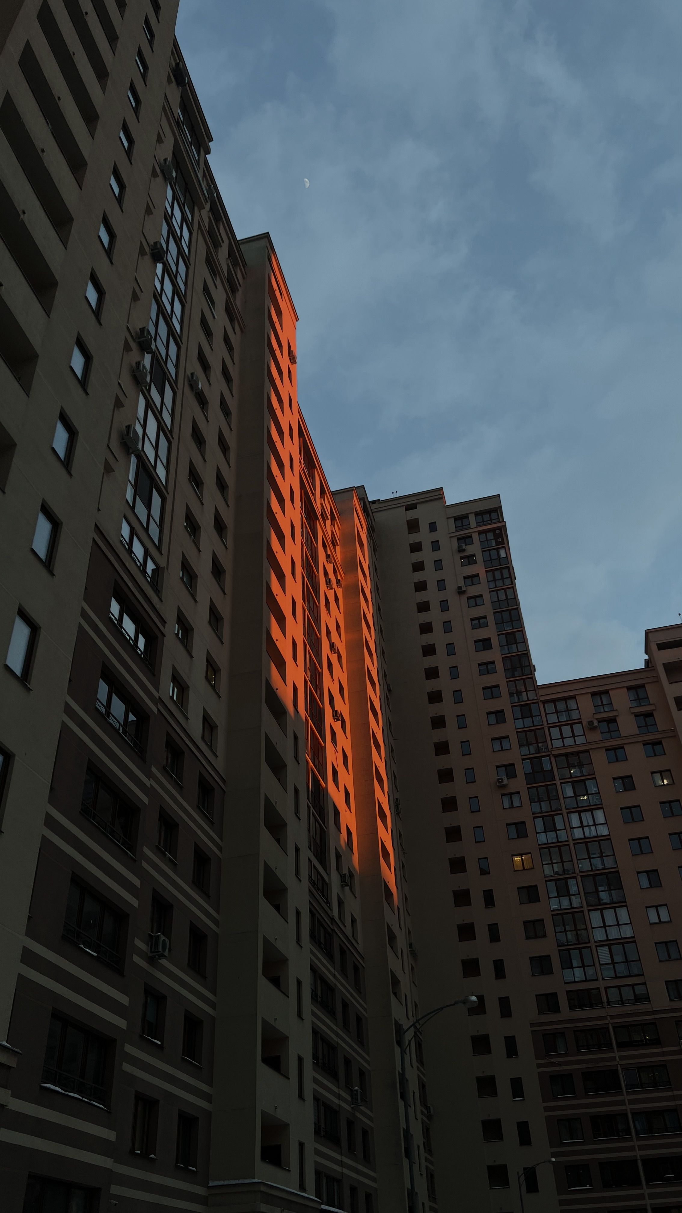 Sunlight Shining on Blocks of Flats · Free Stock Photo
