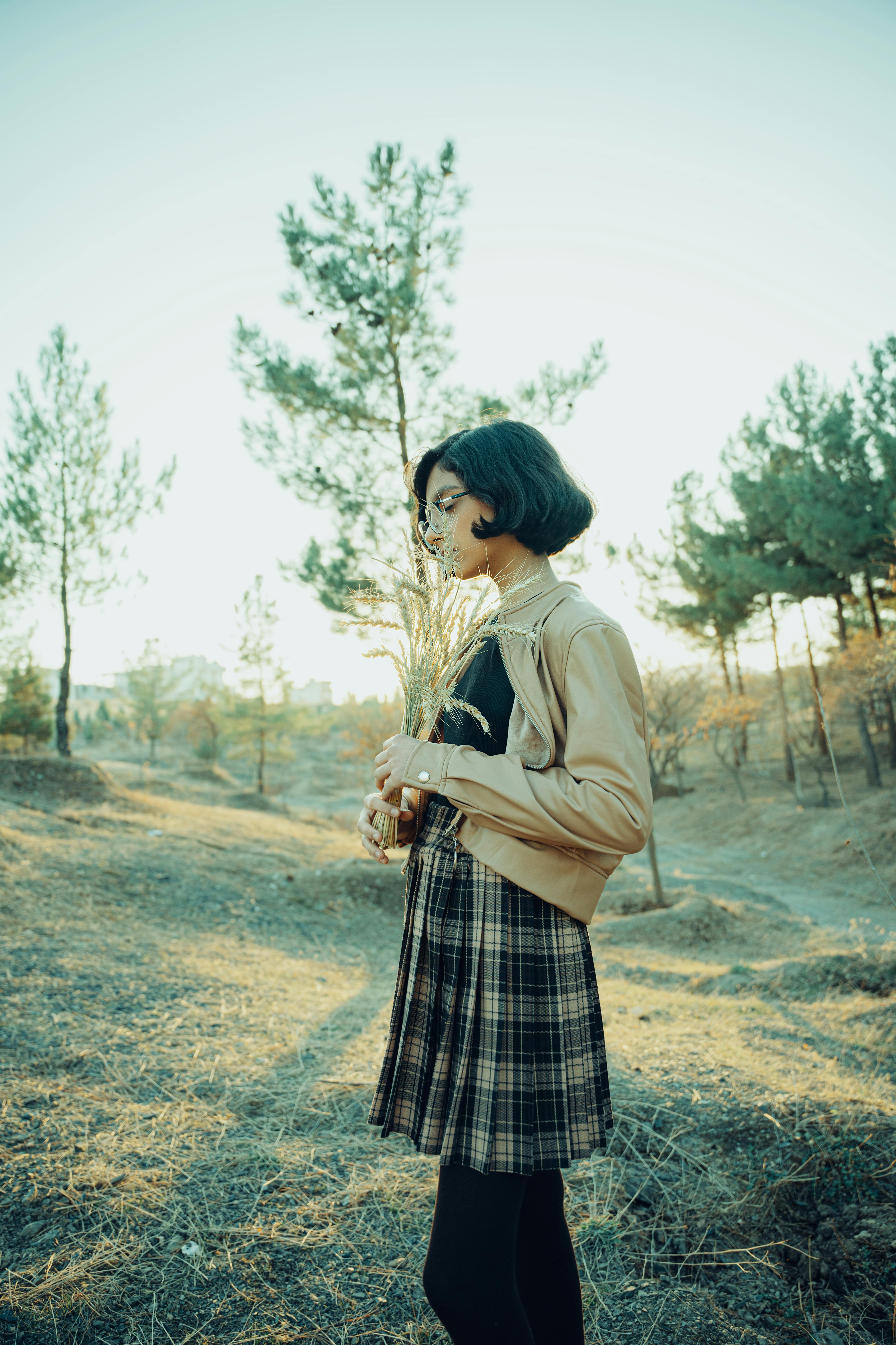 Bob Tree Photos, Download The BEST Free Bob Tree Stock Photos & HD Images