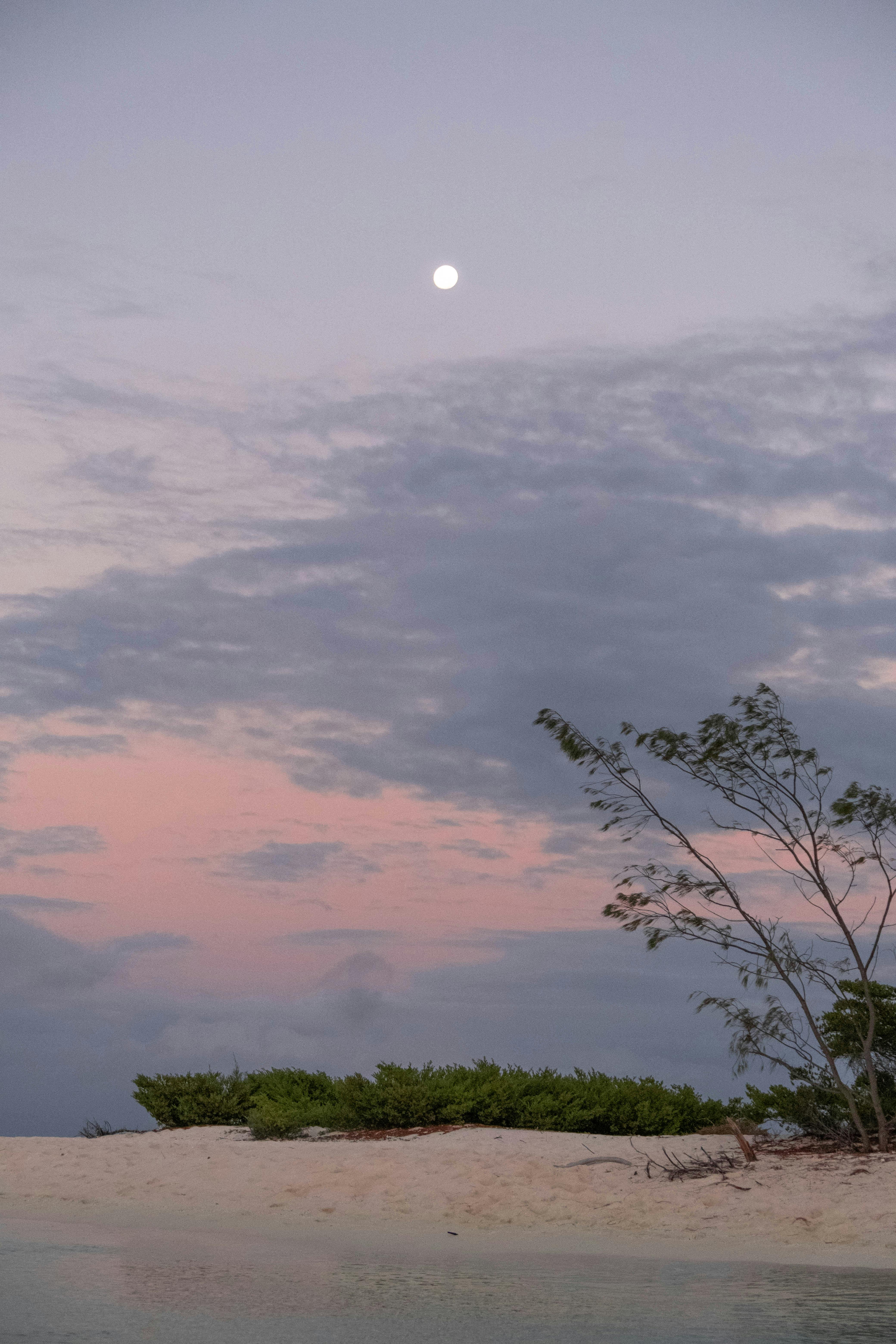 Full Moon in the Evening Sky Over the Beach · Free Stock Photo