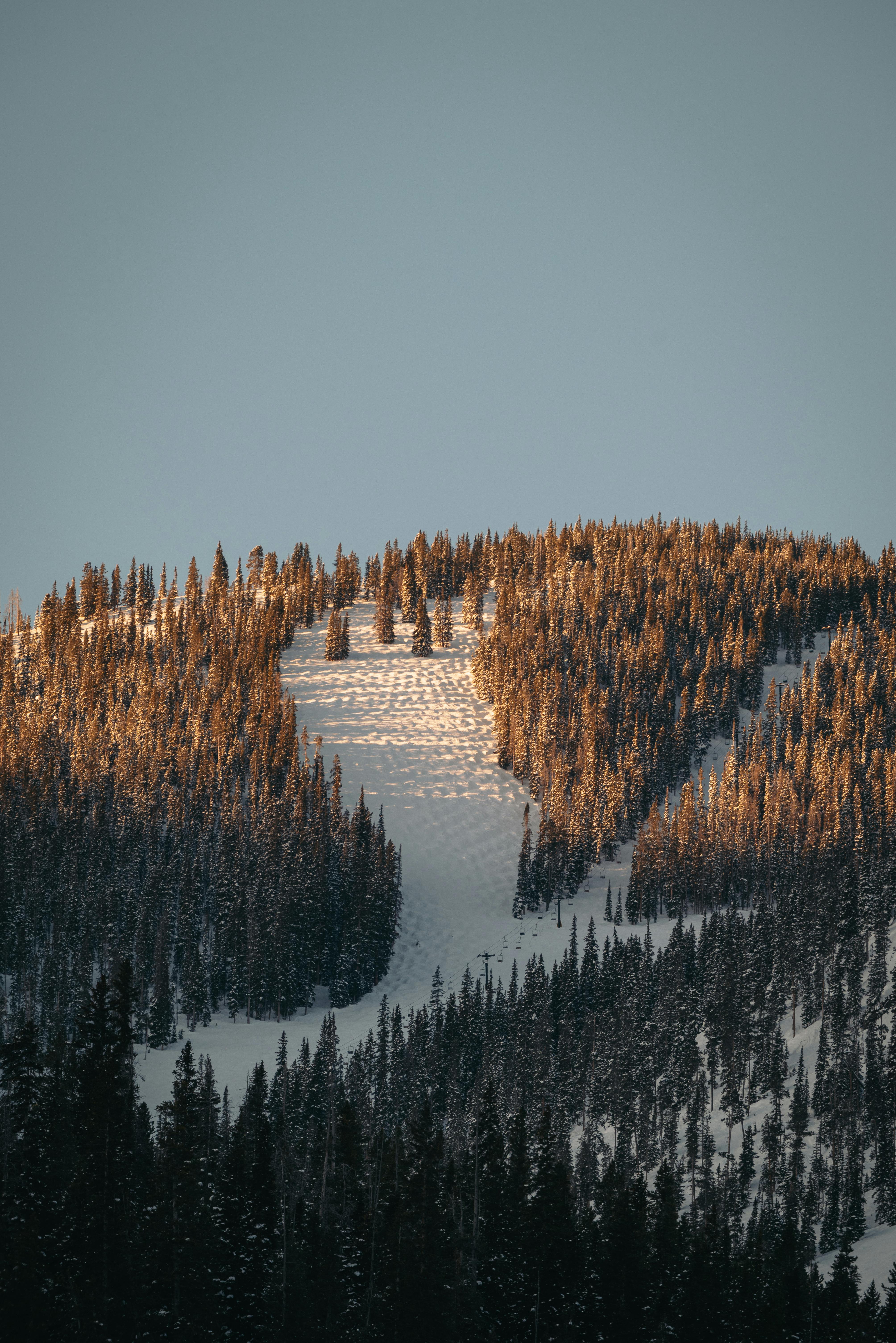 View of a Hill in Winter · Free Stock Photo