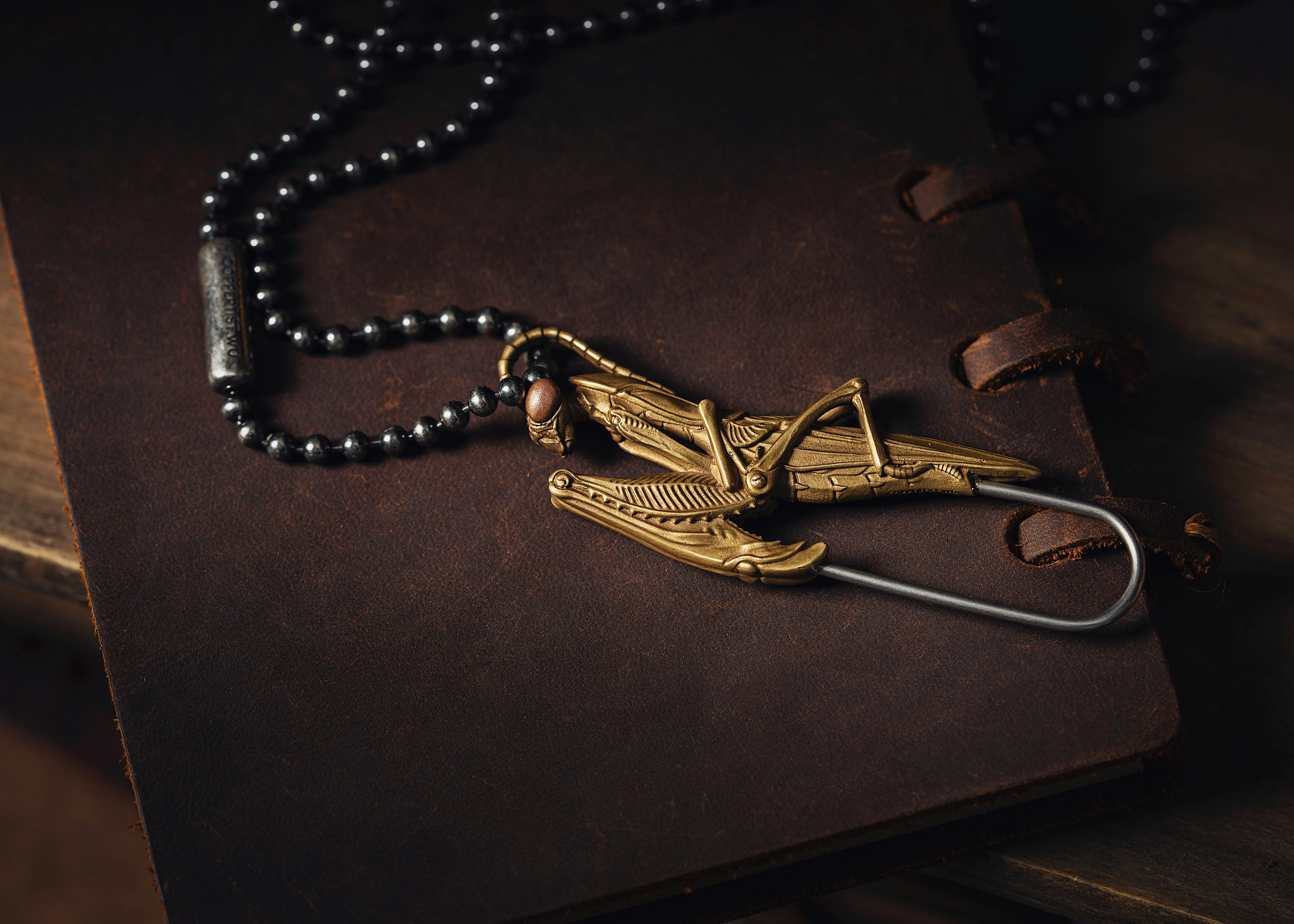 Necklace and Golden Mantis · Free Stock Photo