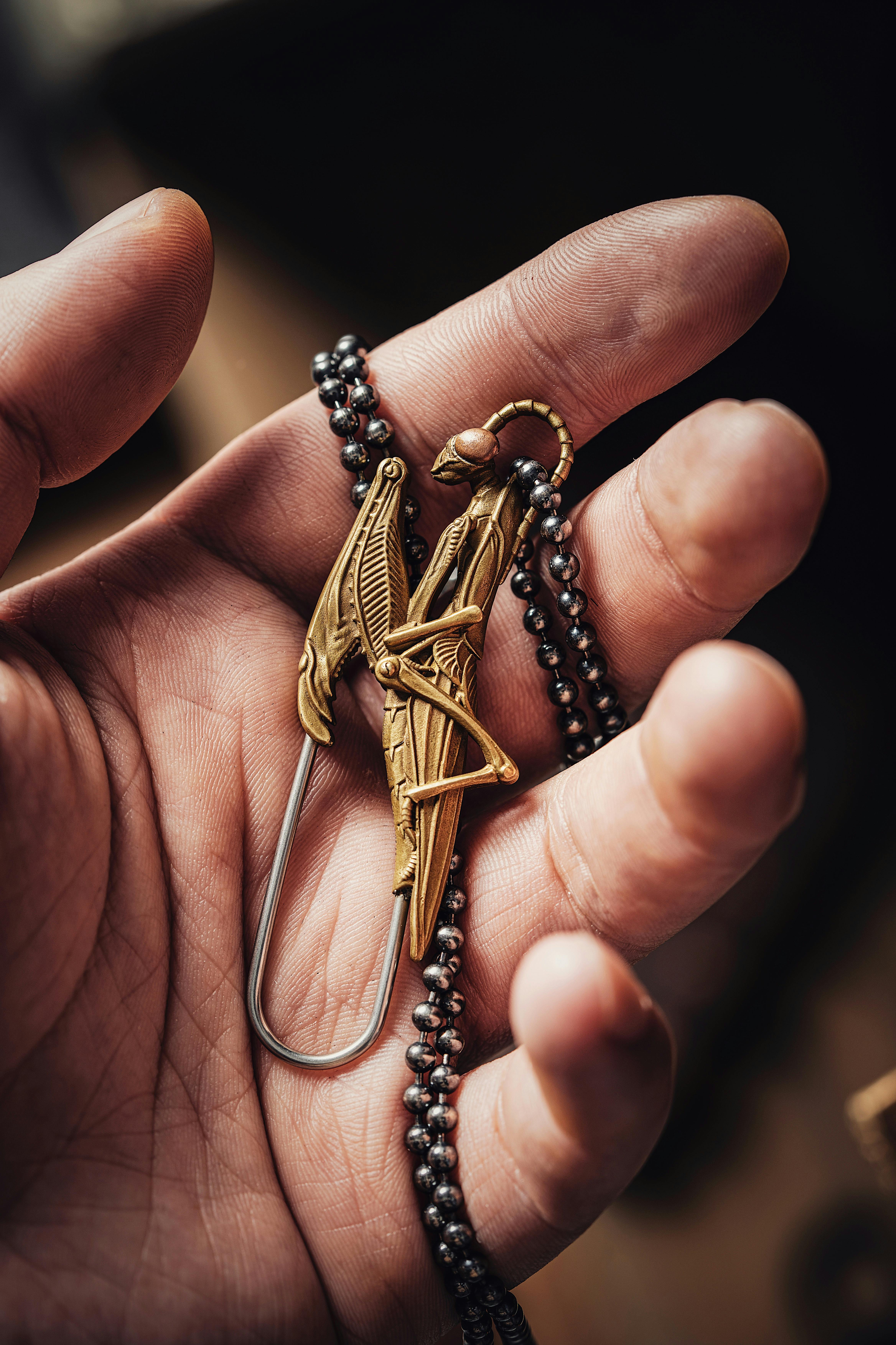 Golden Mantis and Necklace · Free Stock Photo