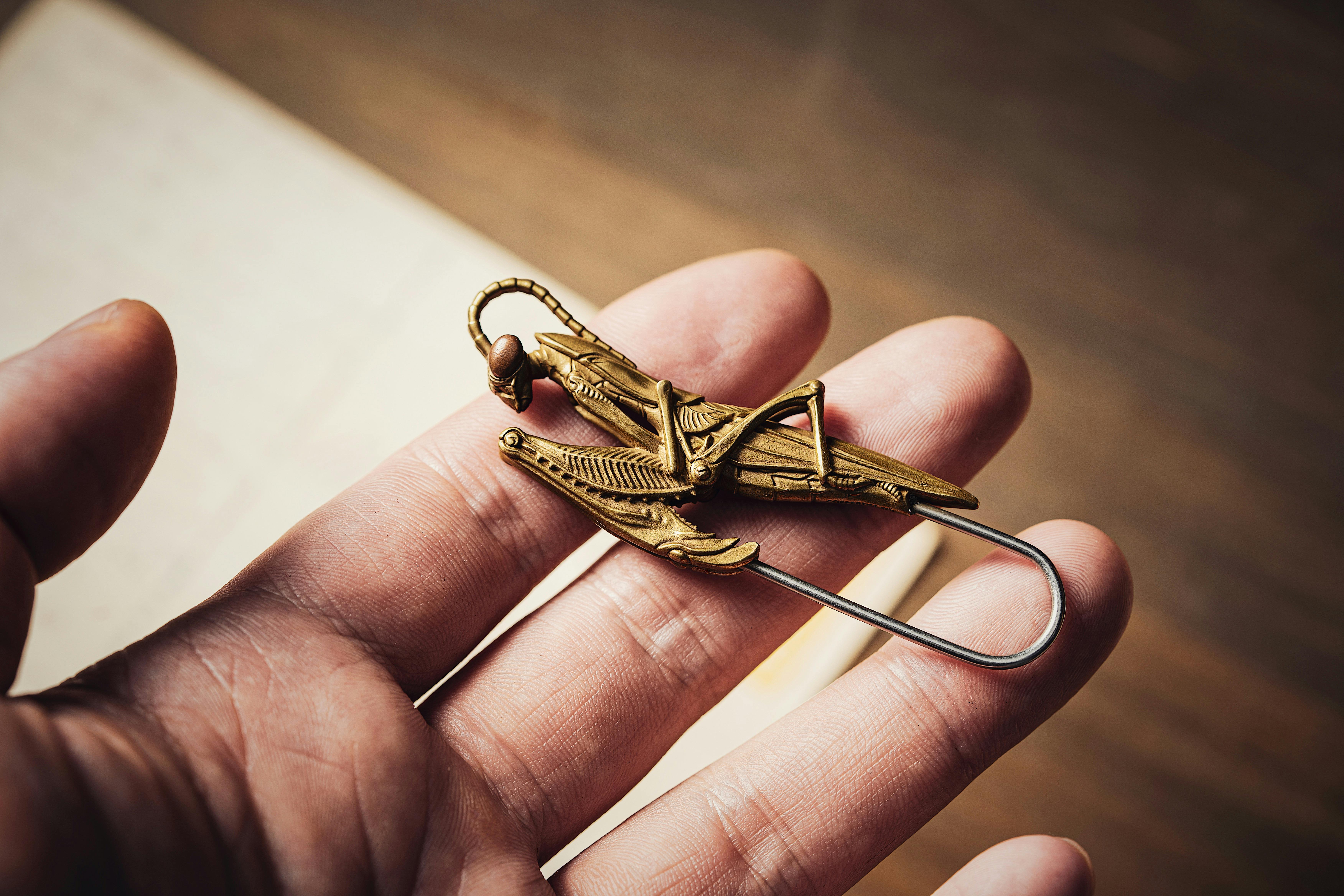 Brass Praying Mantis Pin on Fingers · Free Stock Photo