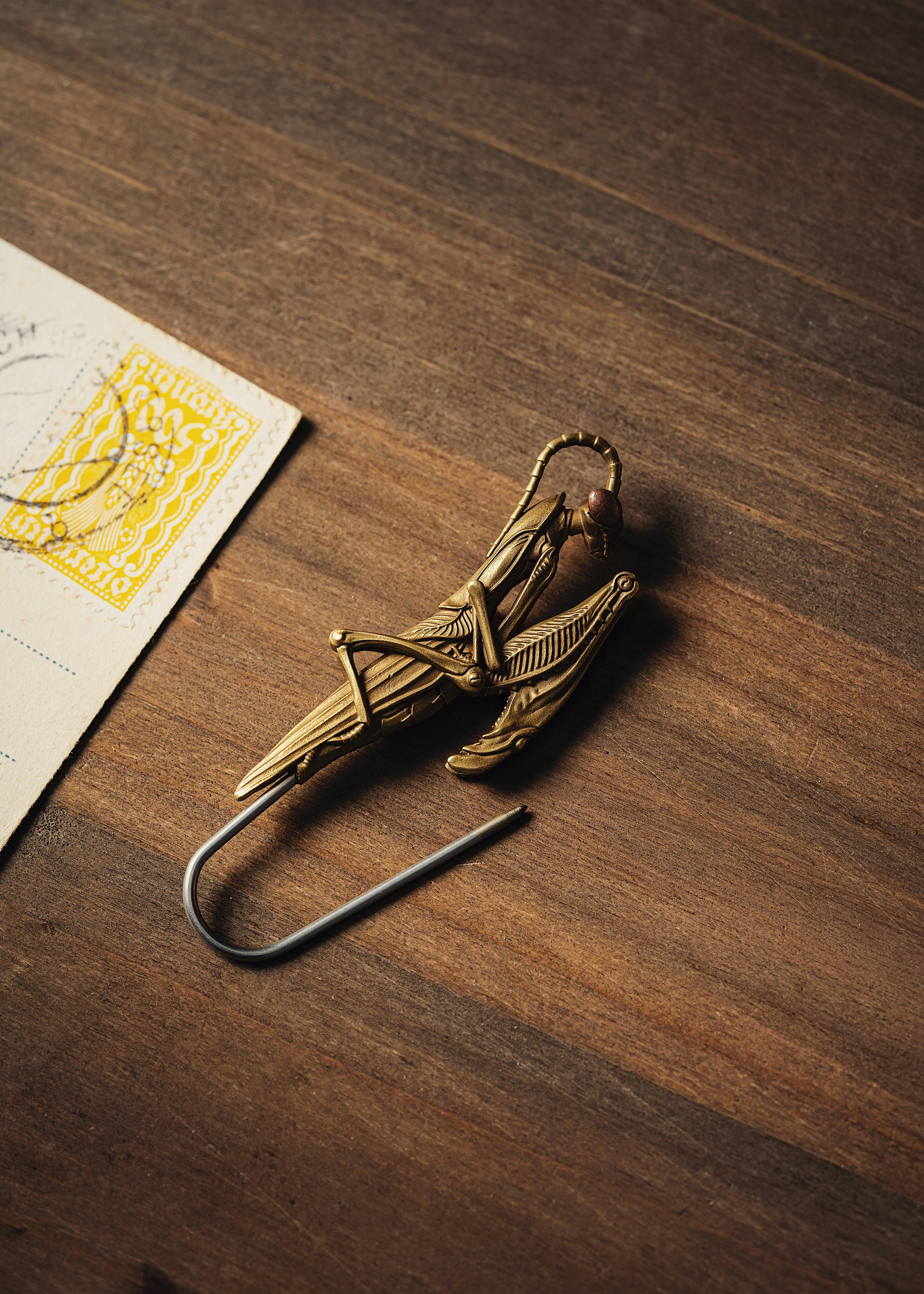 Open Praying Mantis Clip on a Wooden Tabletop · Free Stock Photo