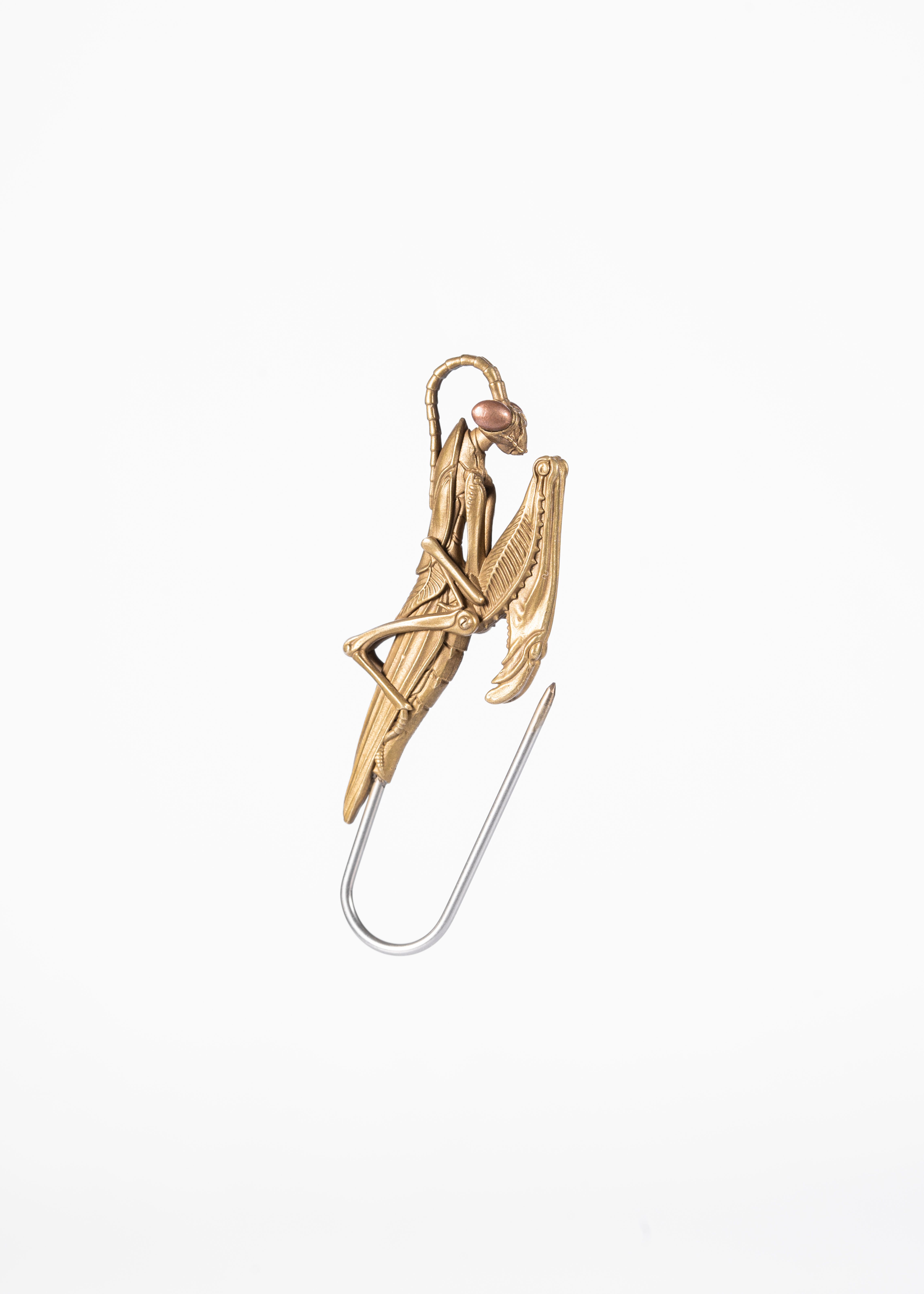 Praying Mantis Pin · Free Stock Photo