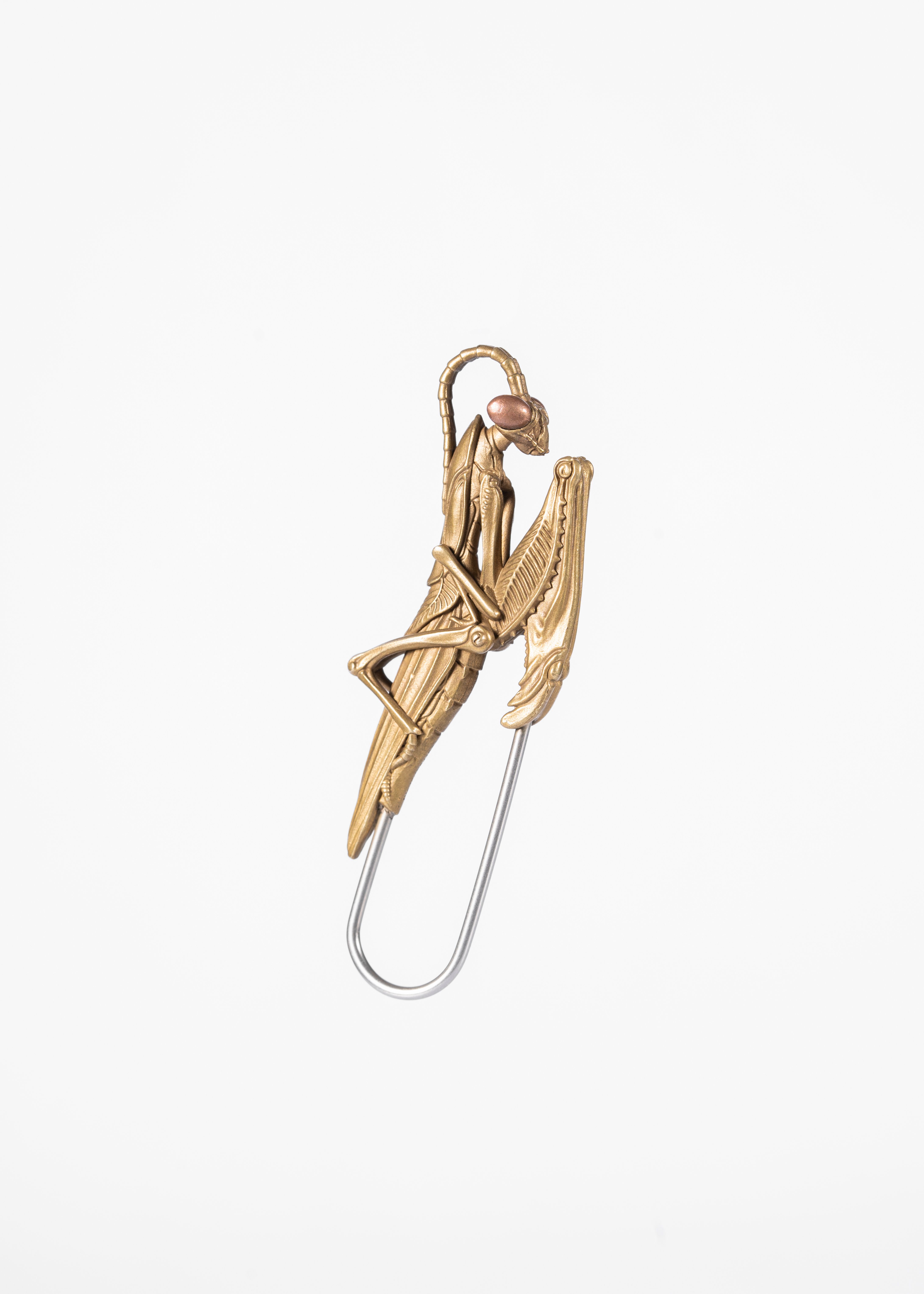 Brass Praying Mantis Pin on White Background · Free Stock Photo