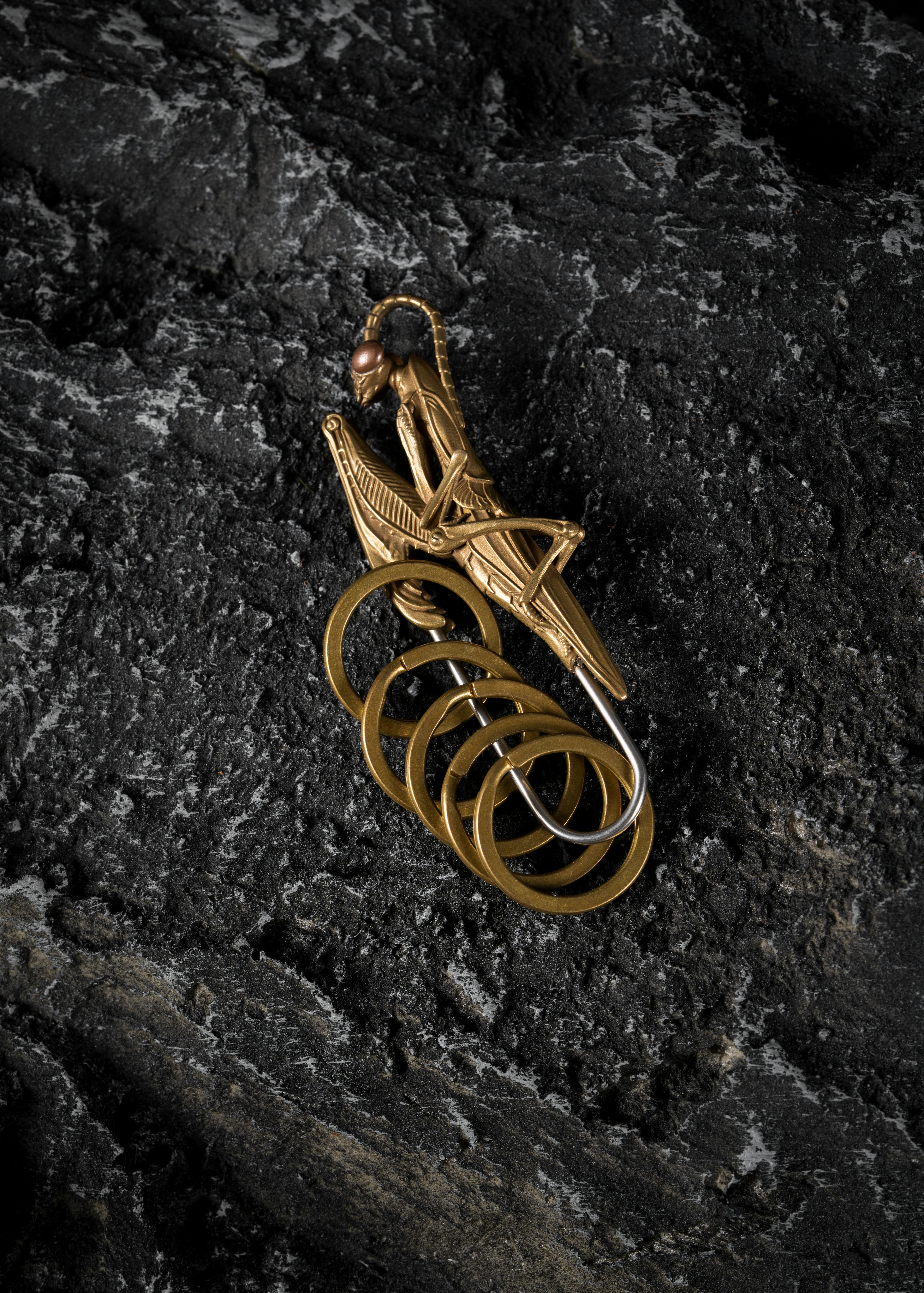Brass Praying Mantis Clip with Keychains Lying on the Stone · Free ...