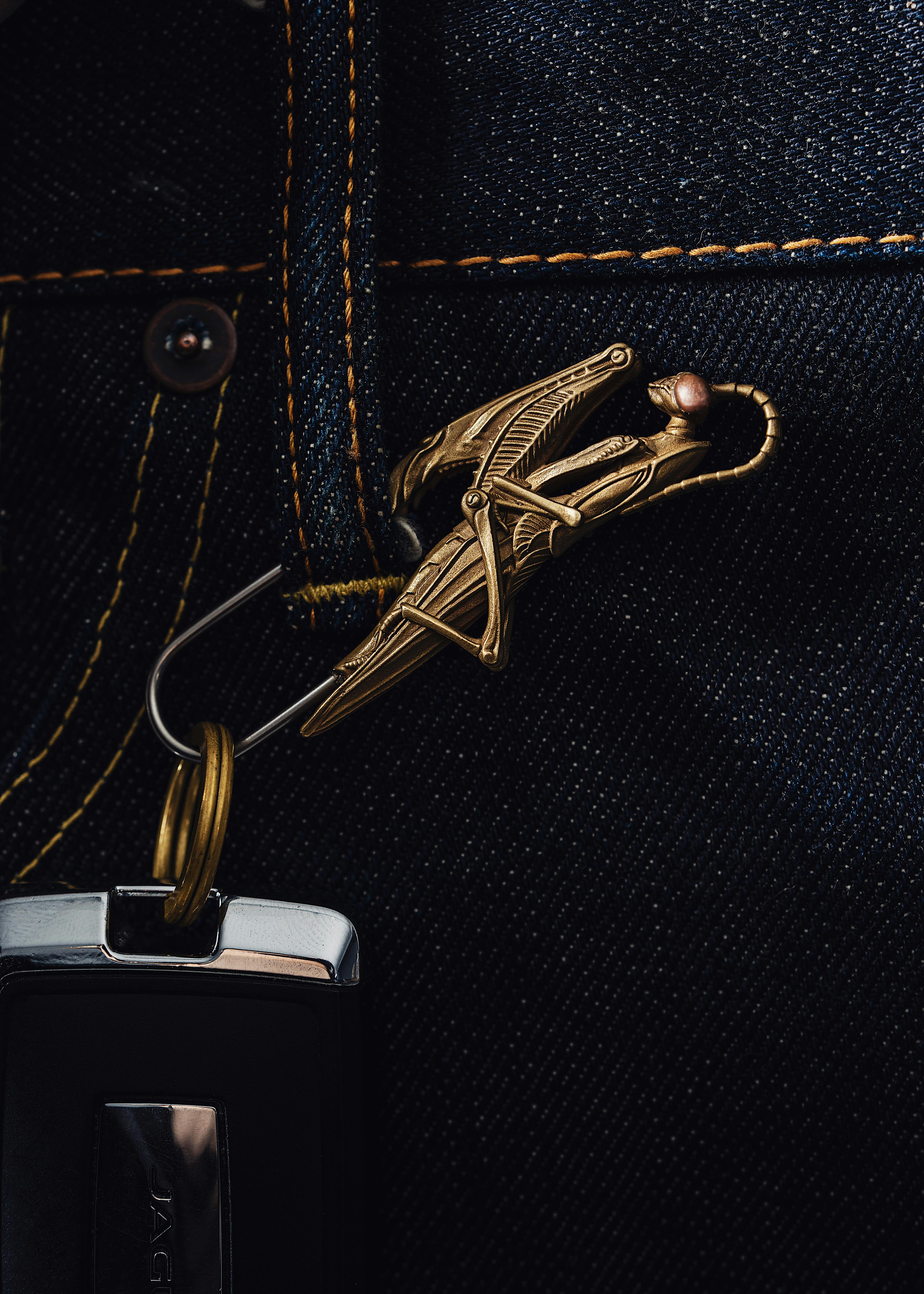 Mantis-shaped Brass Clip on the Belt Loop of Jeans · Free Stock Photo