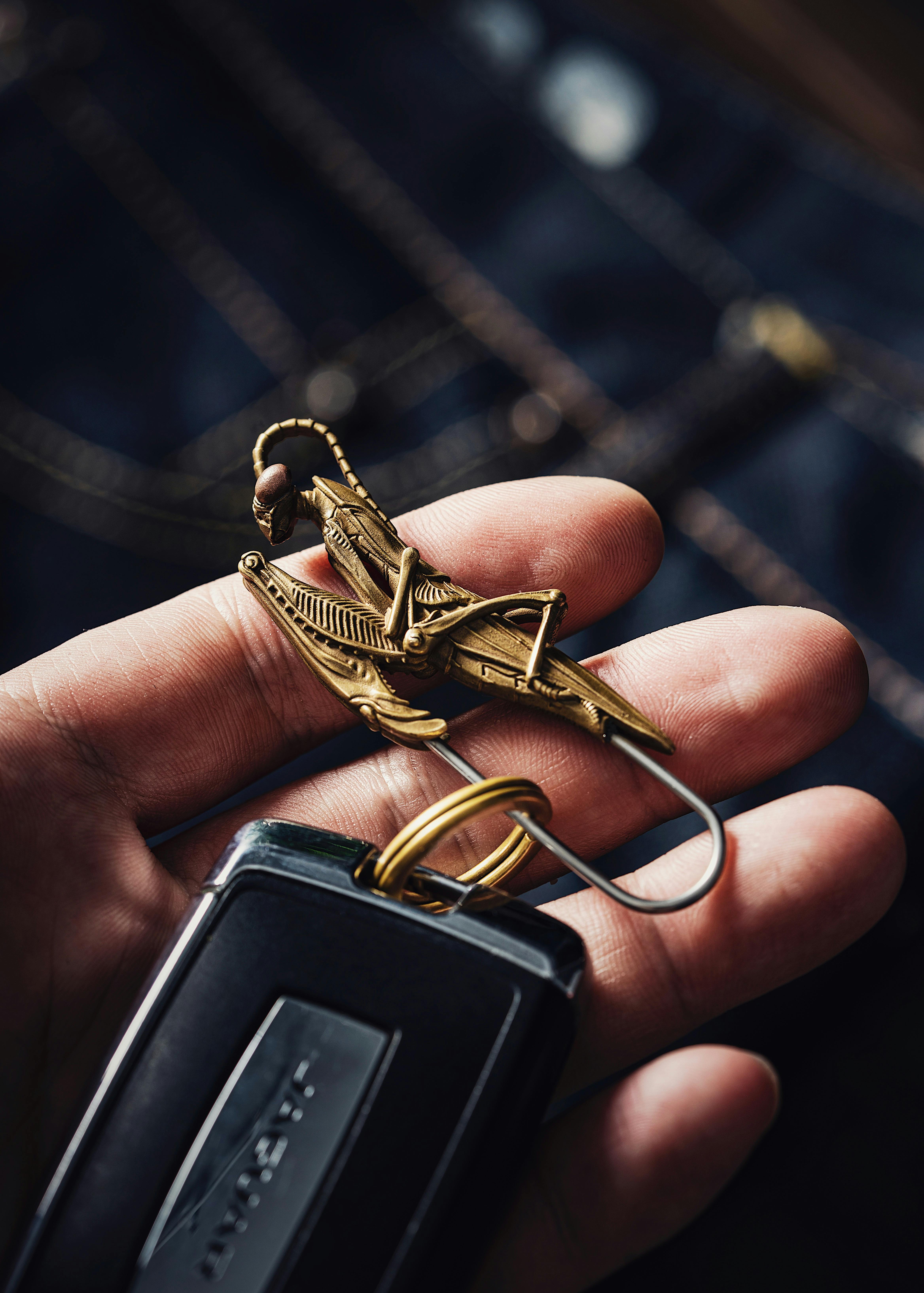 Key Fob with a Praying Mantis Pin · Free Stock Photo