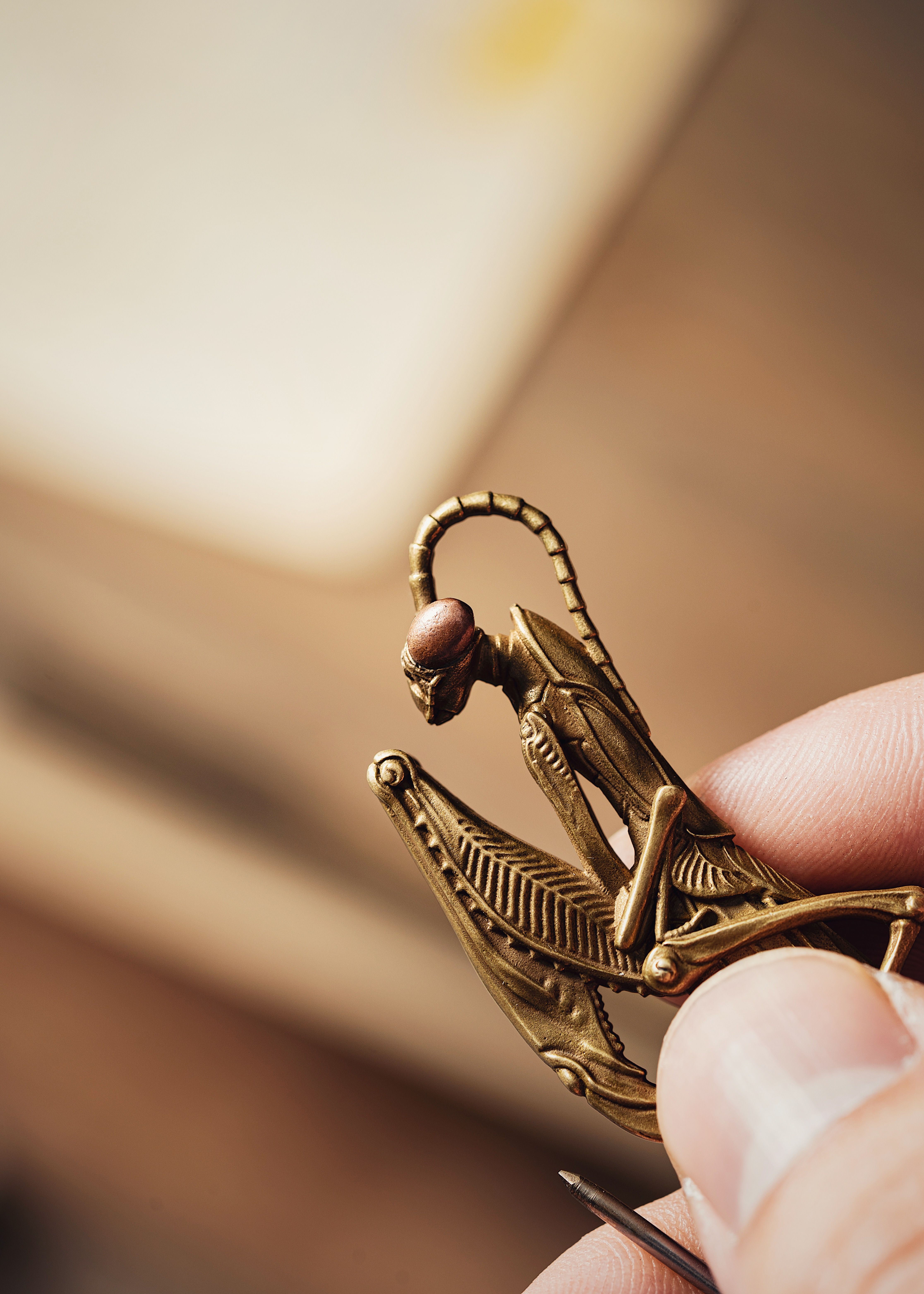 Holding a Brass Mantis-shaped Pin · Free Stock Photo
