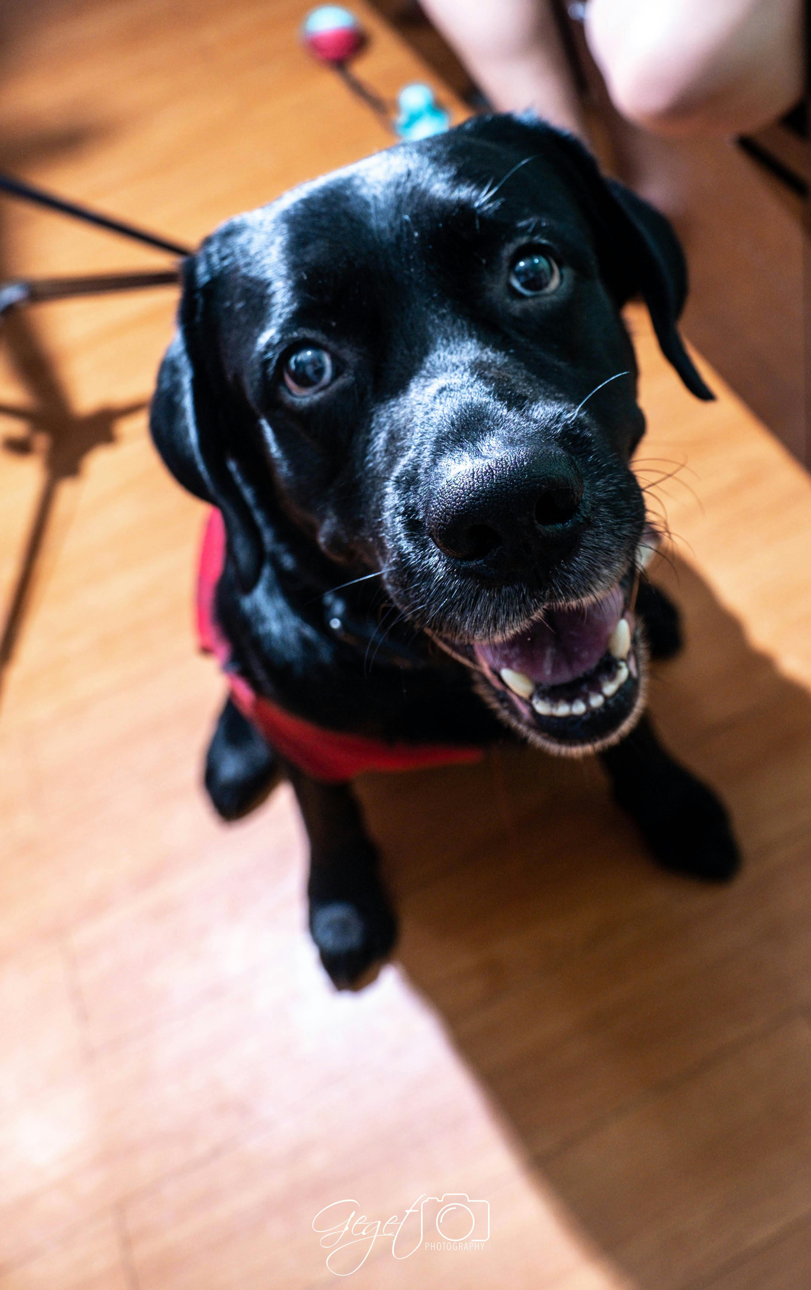 Geget Valenzuela - 摄影