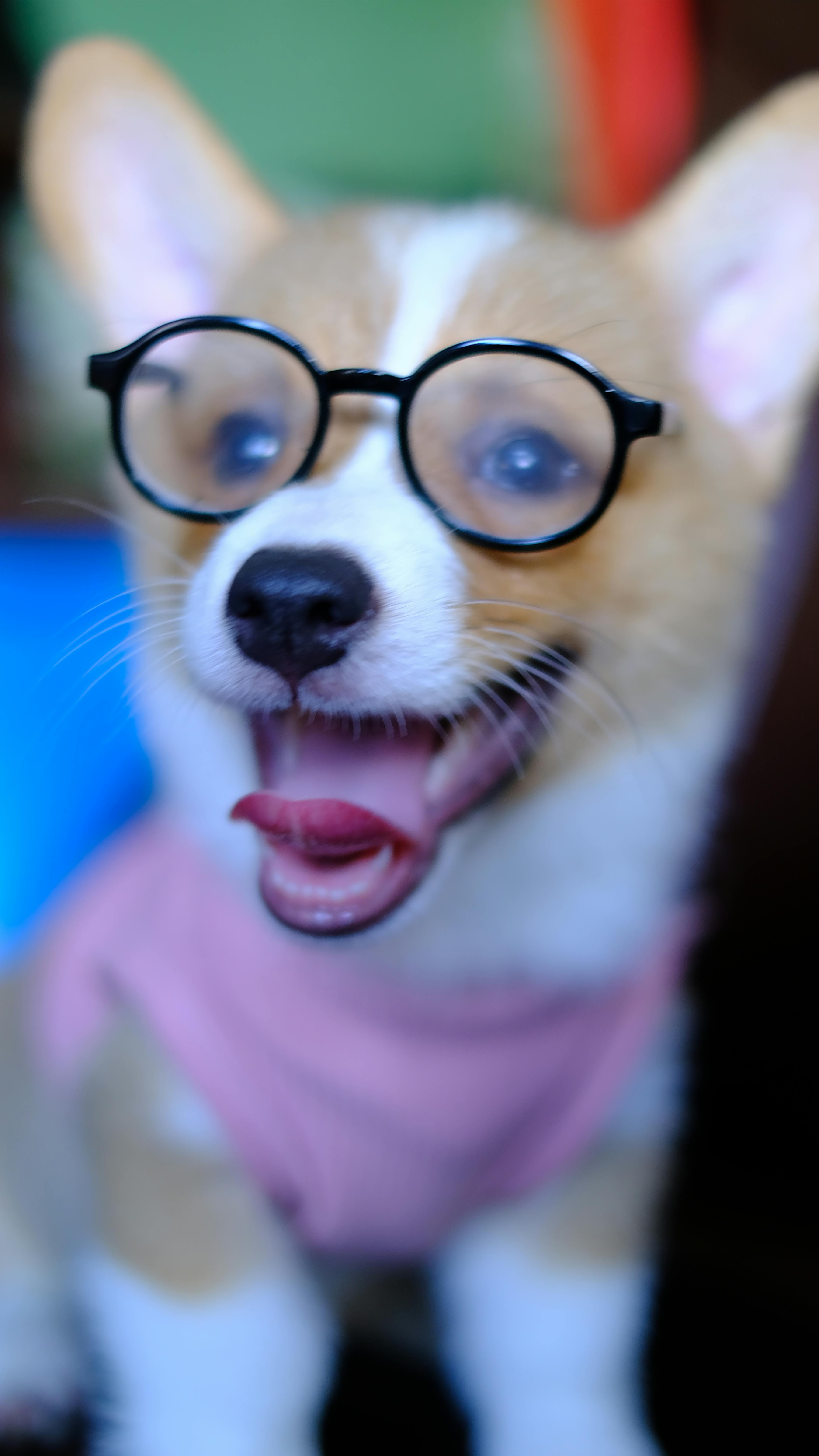 Geget Valenzuela - 摄影