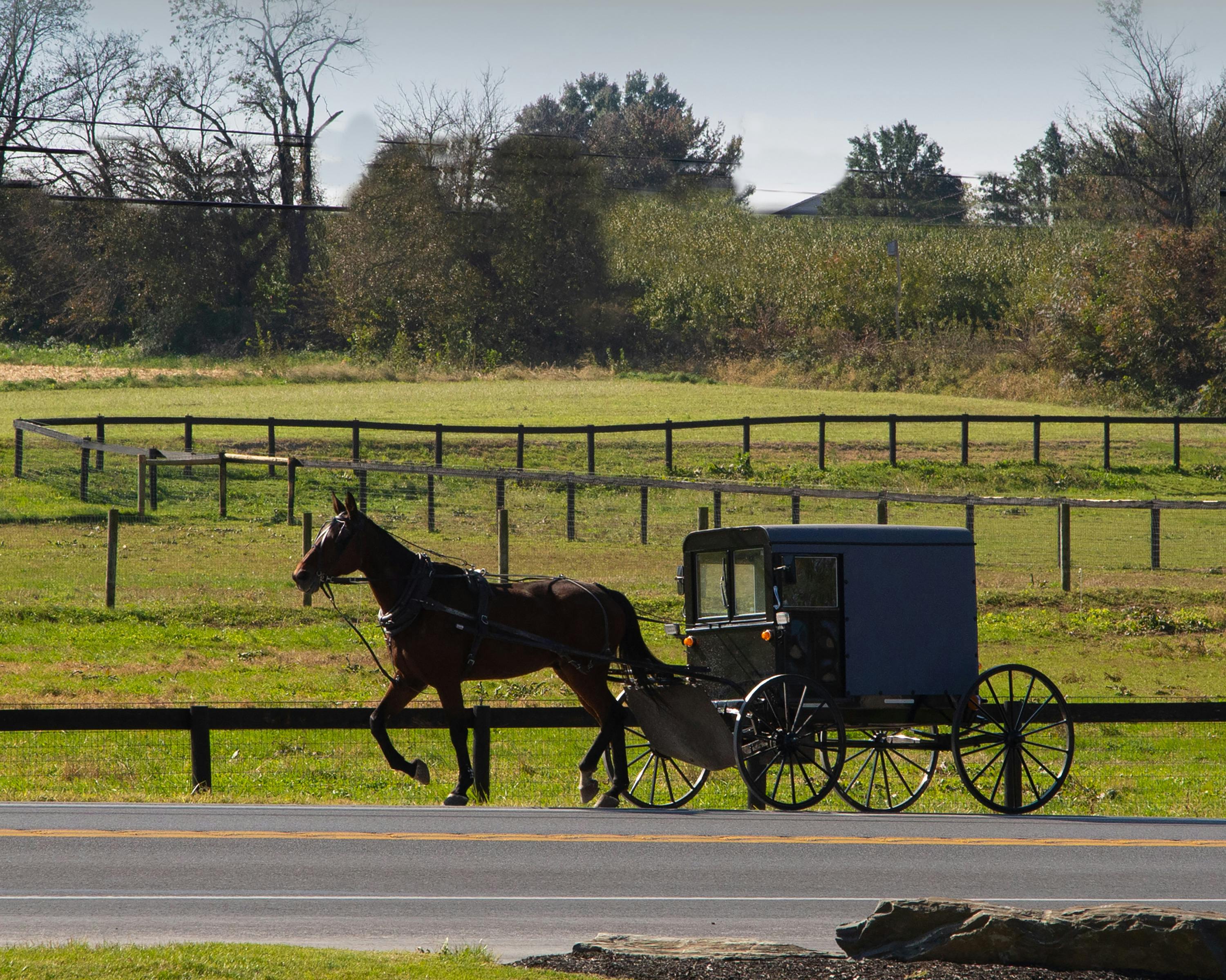 Michael Sturgeon - Photography