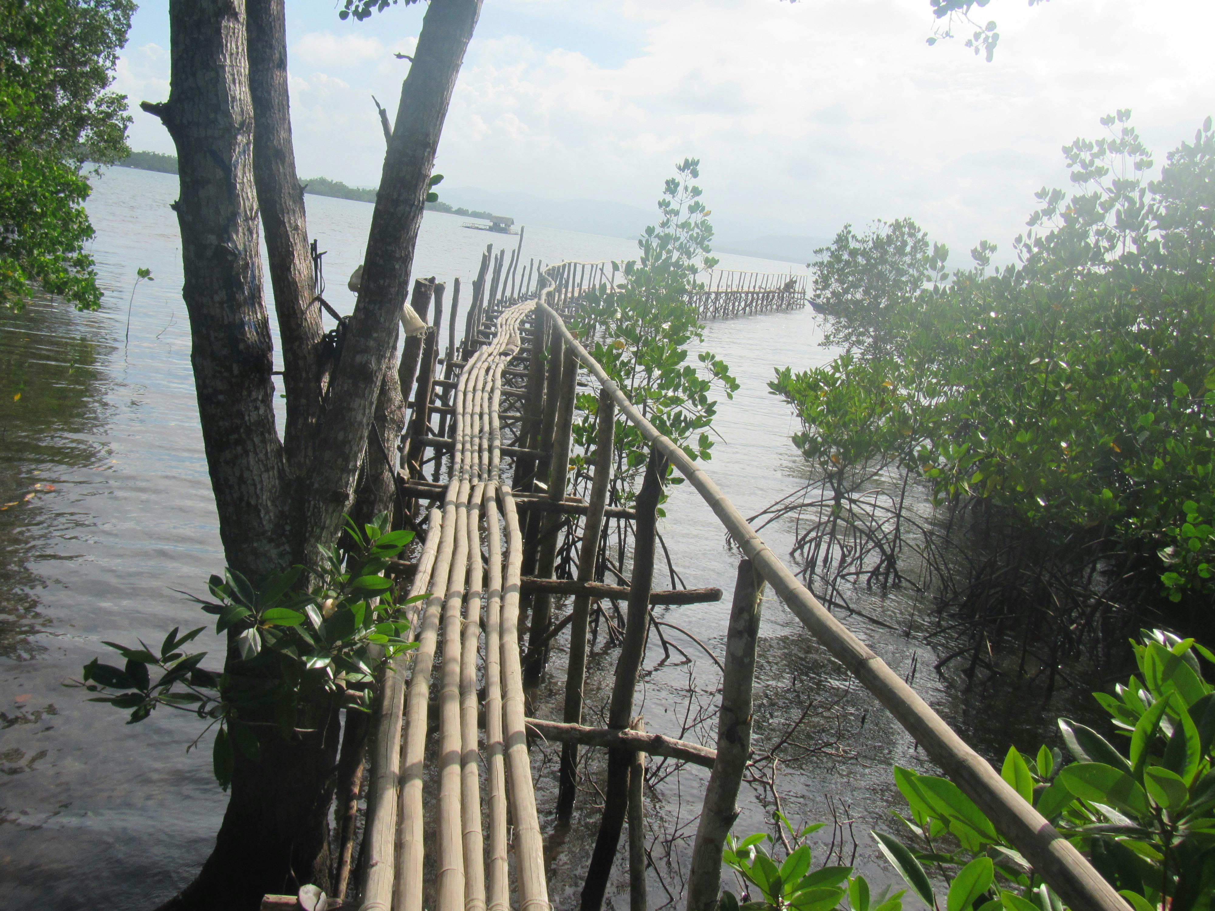 Roger Gasper - Photography