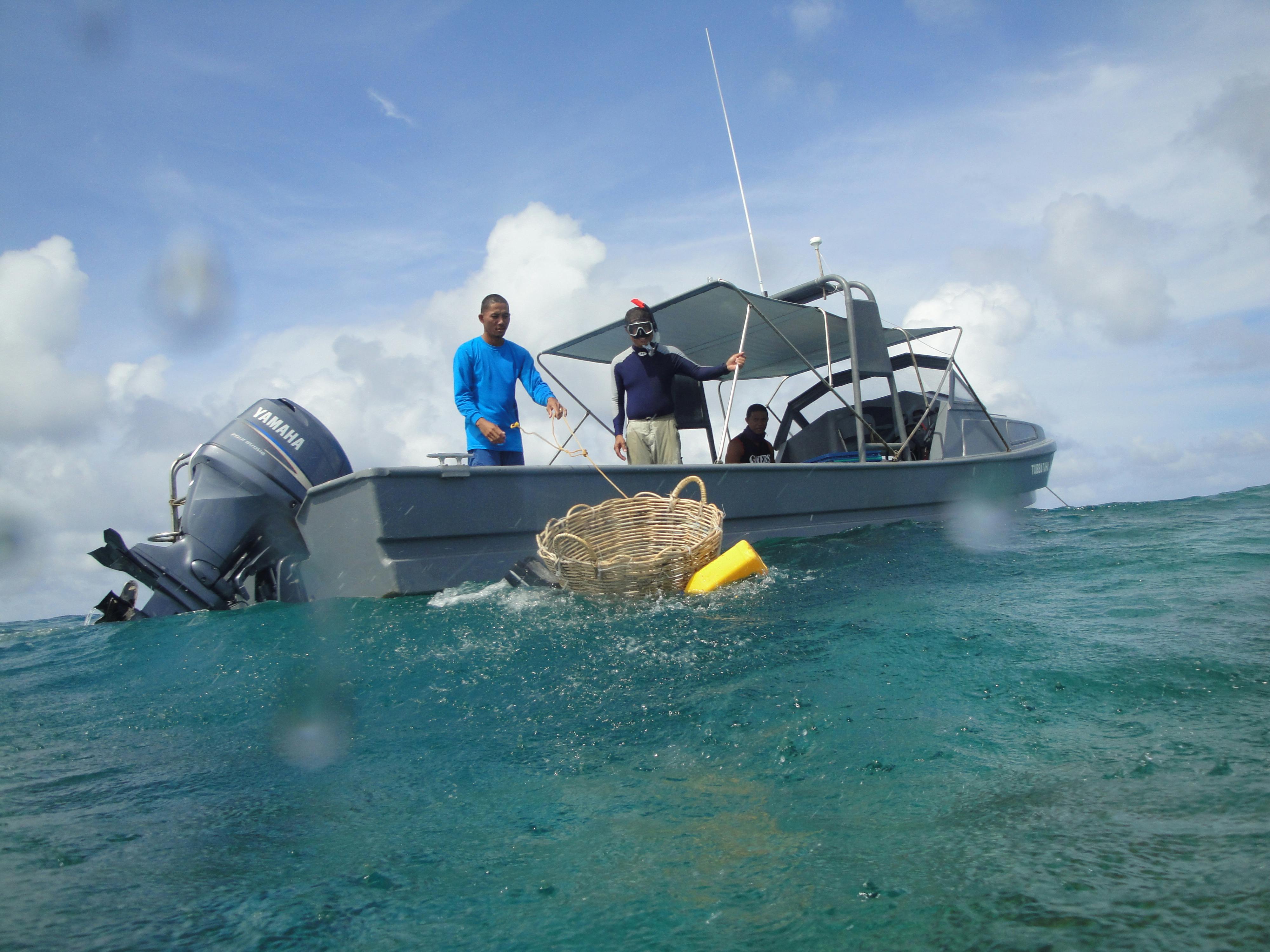 Roger Gasper - 写真