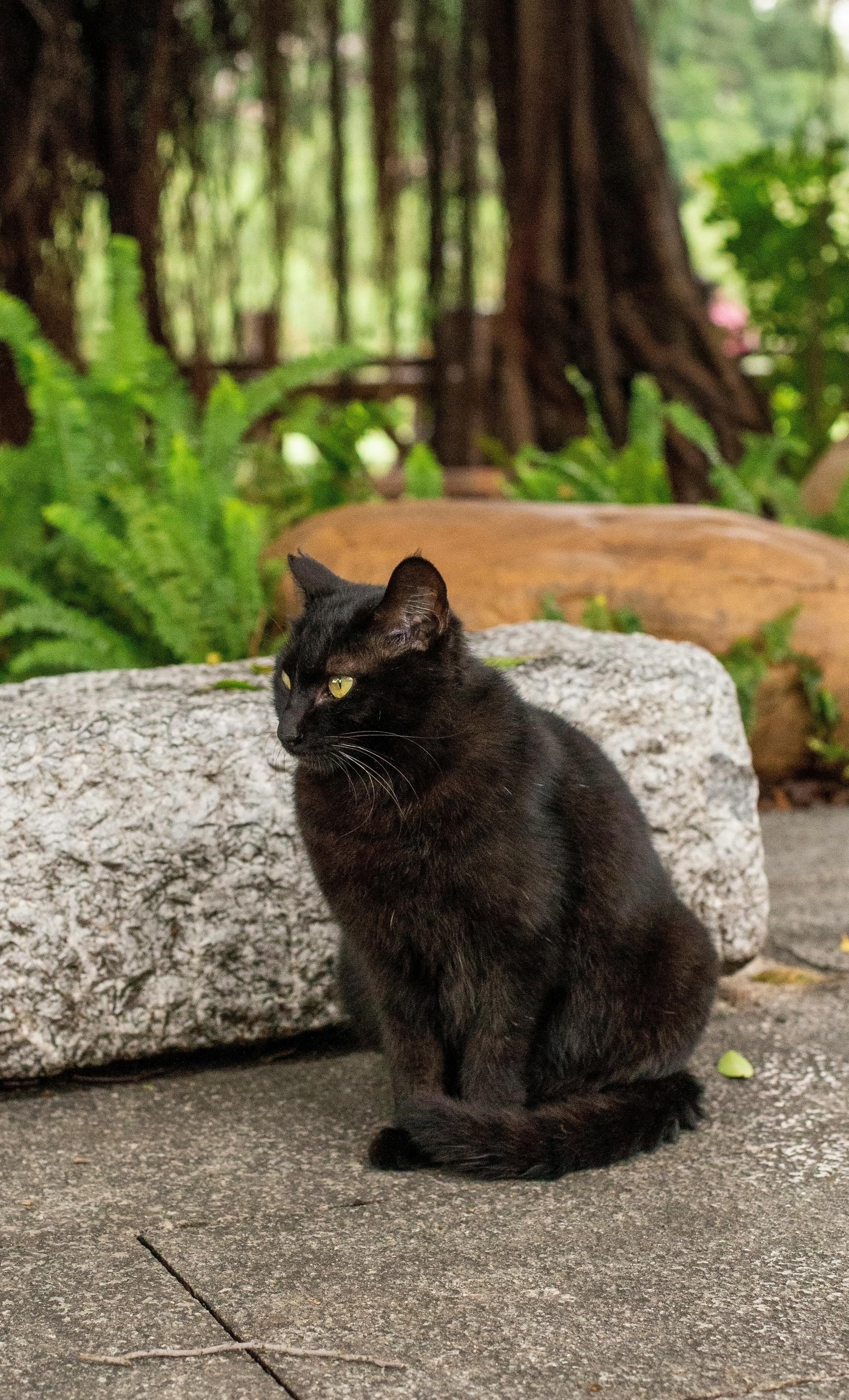 Bad Luck Photos, Download The BEST Free Bad Luck Stock Photos & HD Images