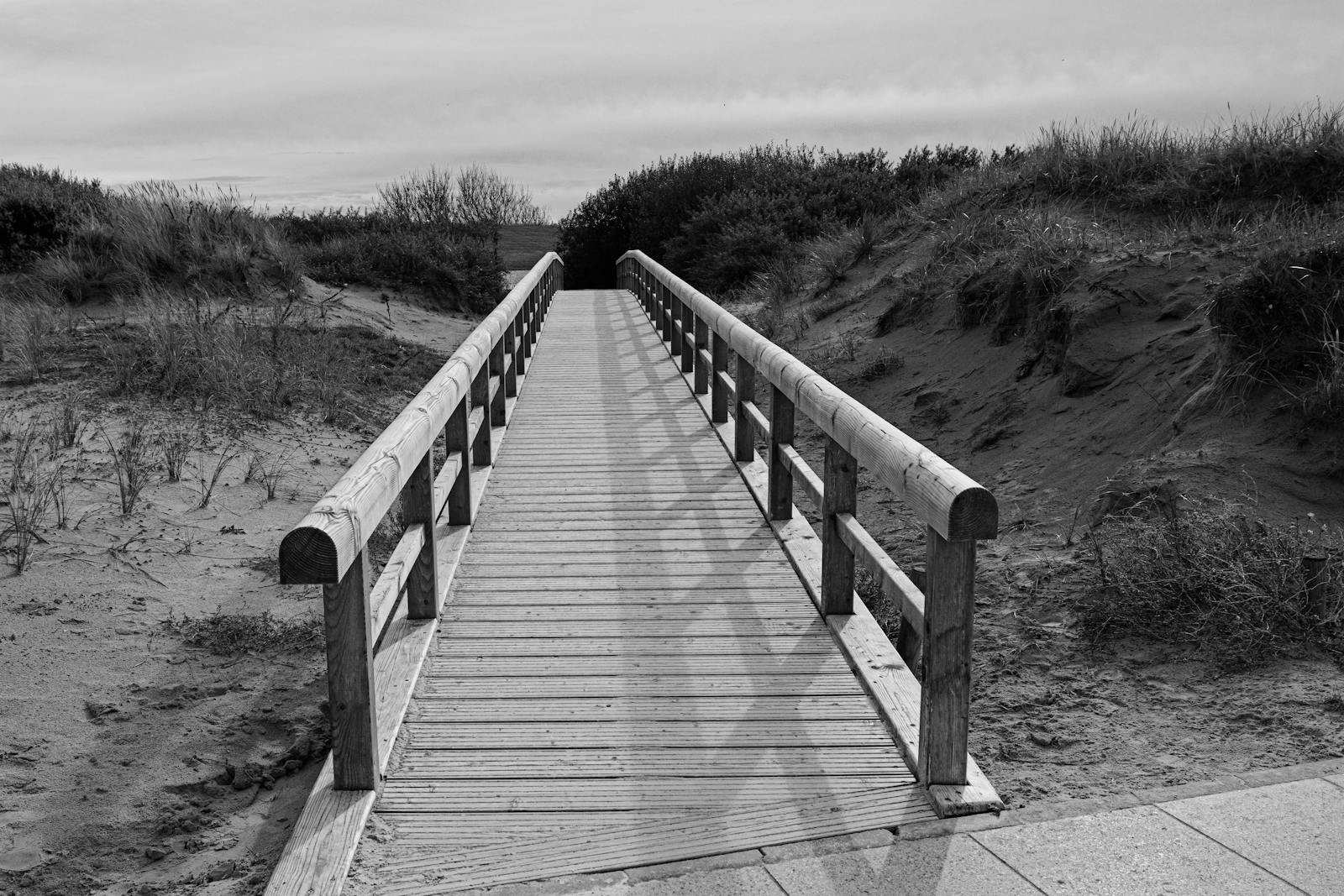 Wooden Path Chile Photos, Download The BEST Free Wooden Path Chile ...