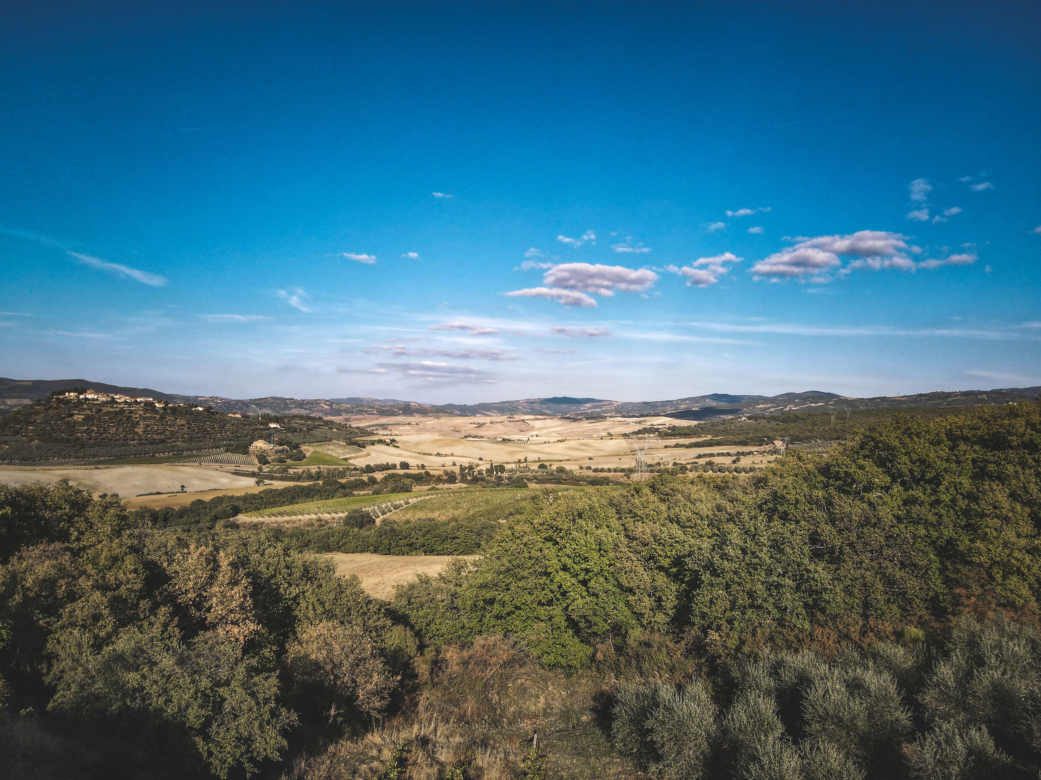 Clouds on Blue Sky over Plains with Forest · Free Stock Photo