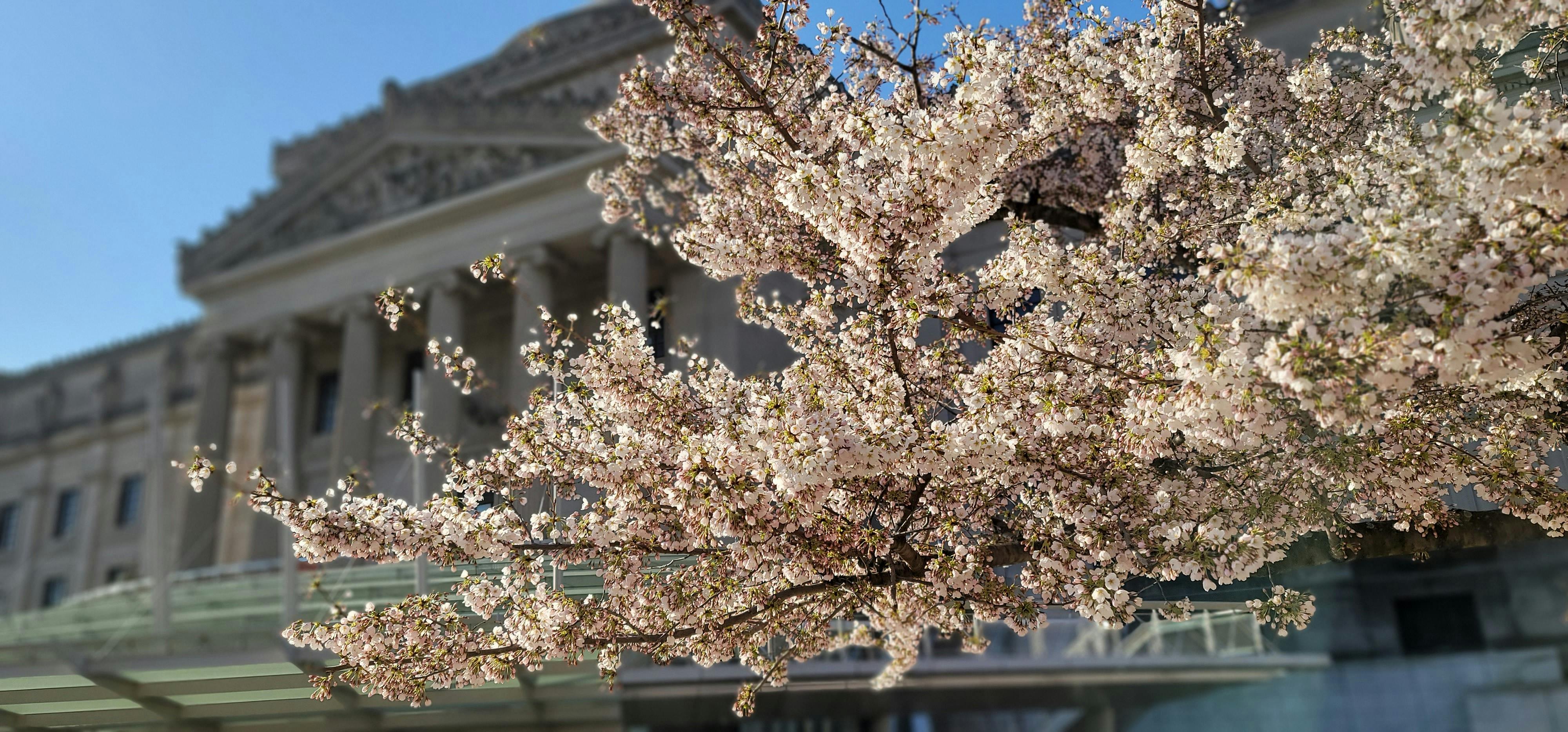 Jer Rey - Photography