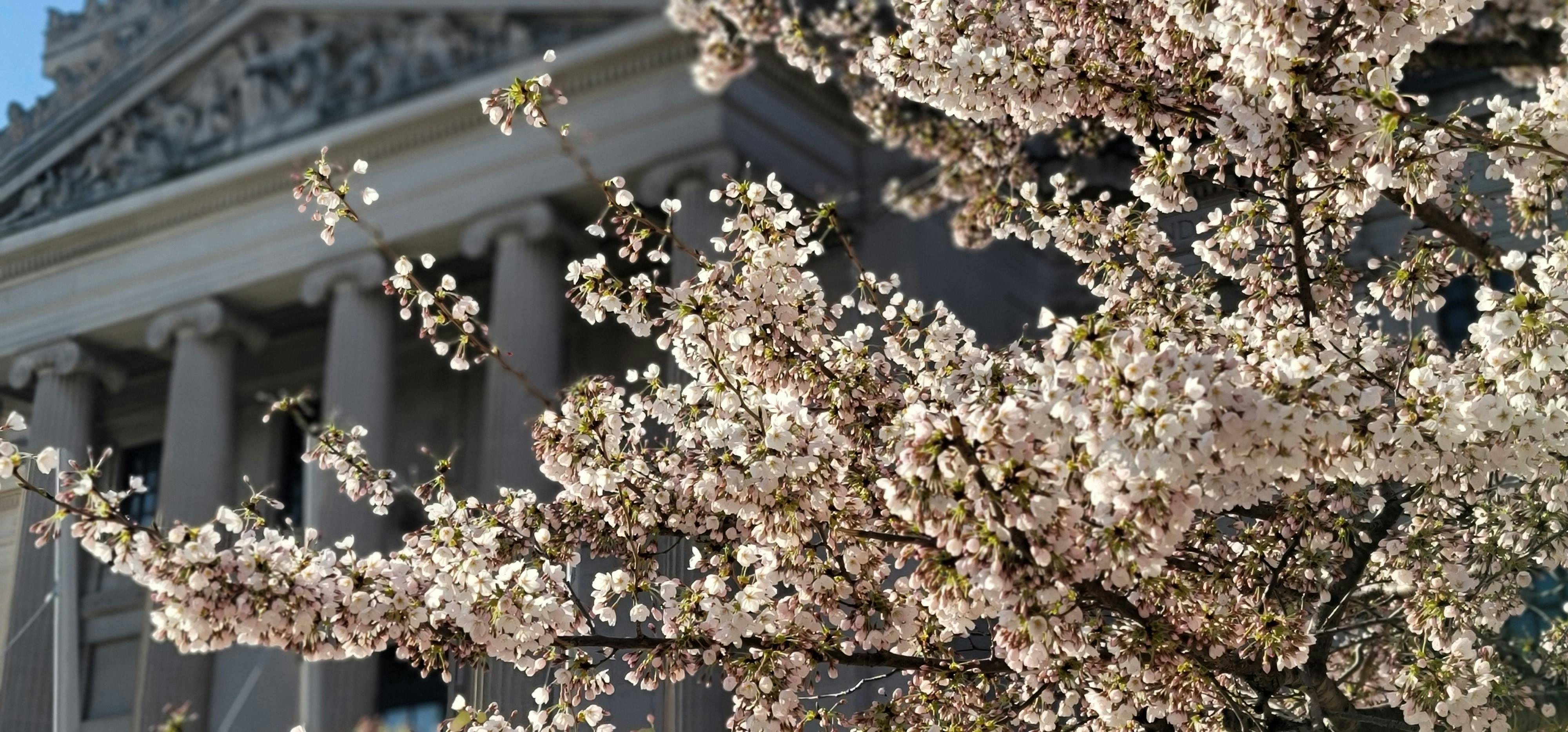 Jer Rey - Photography