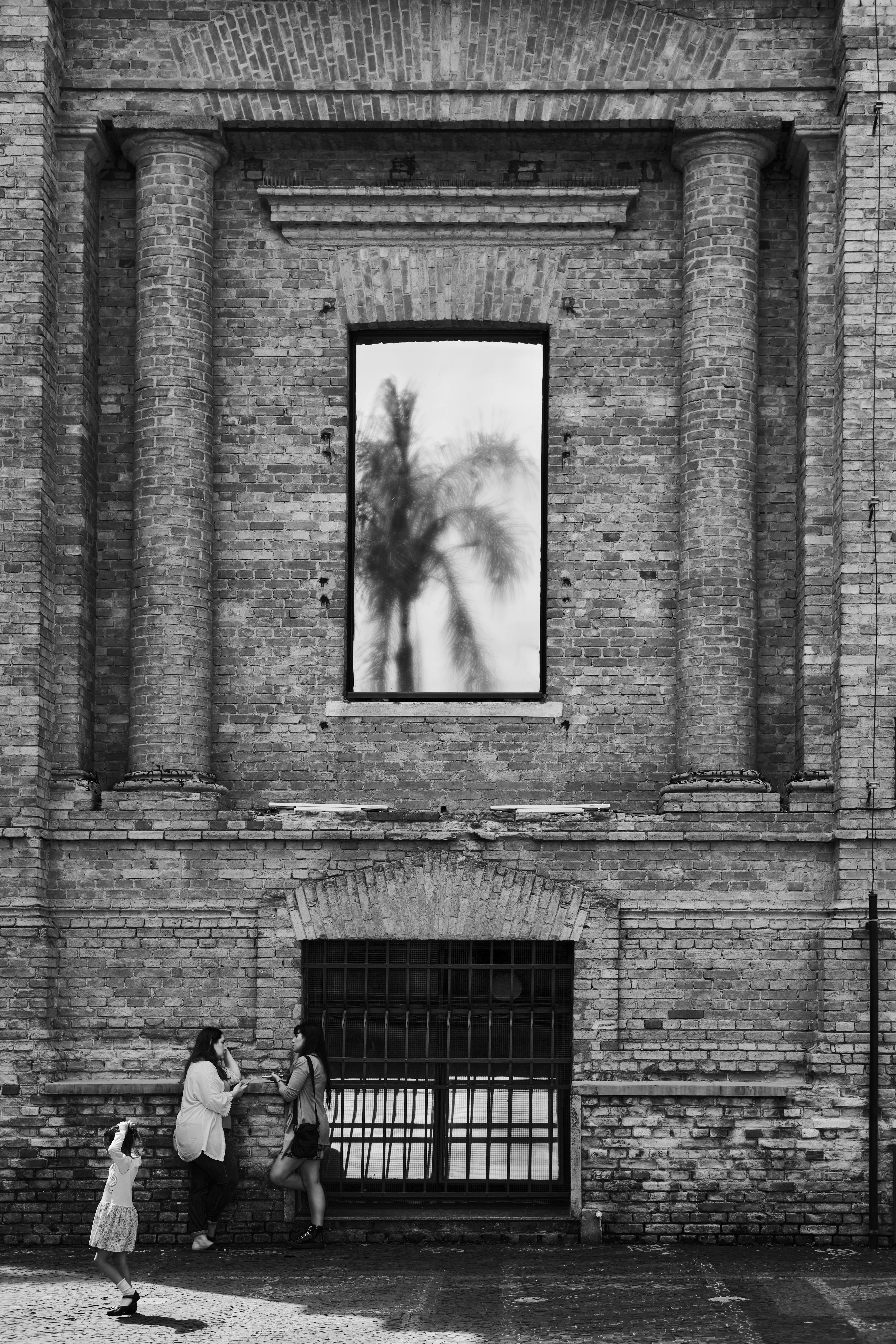 Tree and Palm Tree near Mansion Building · Free Stock Photo