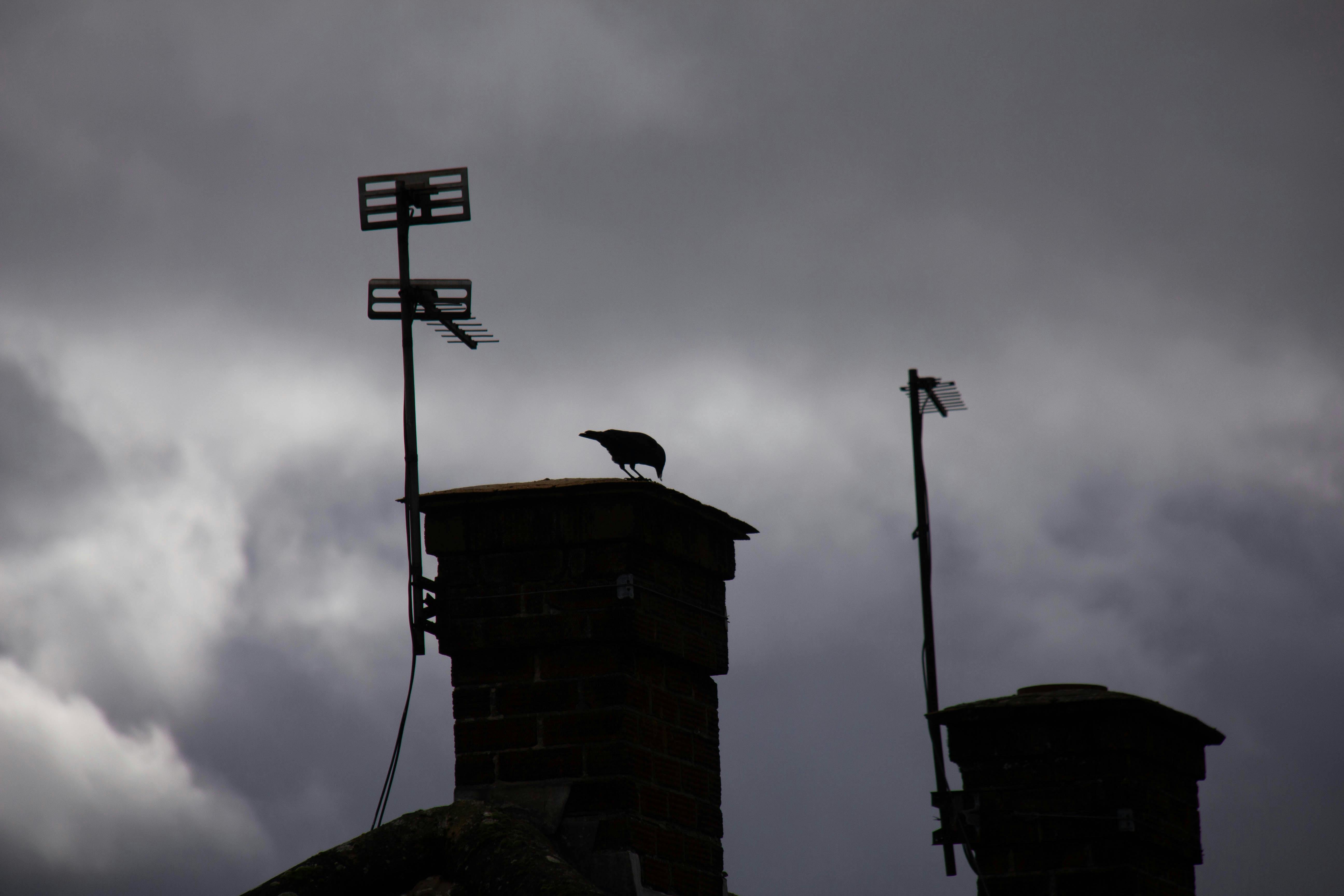 jack Richards - การถ่ายภาพ