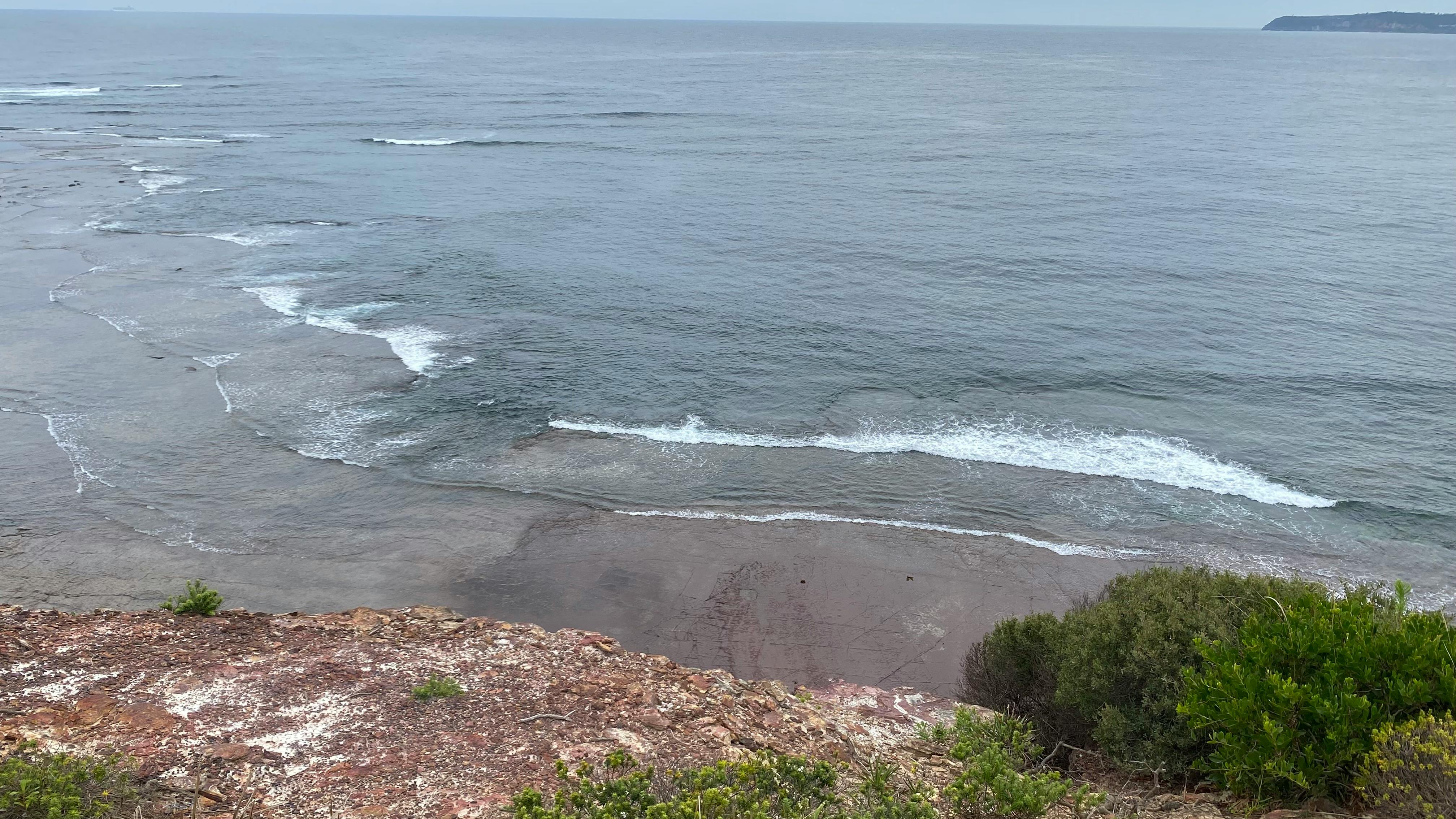 Wenjing Huang - 사진