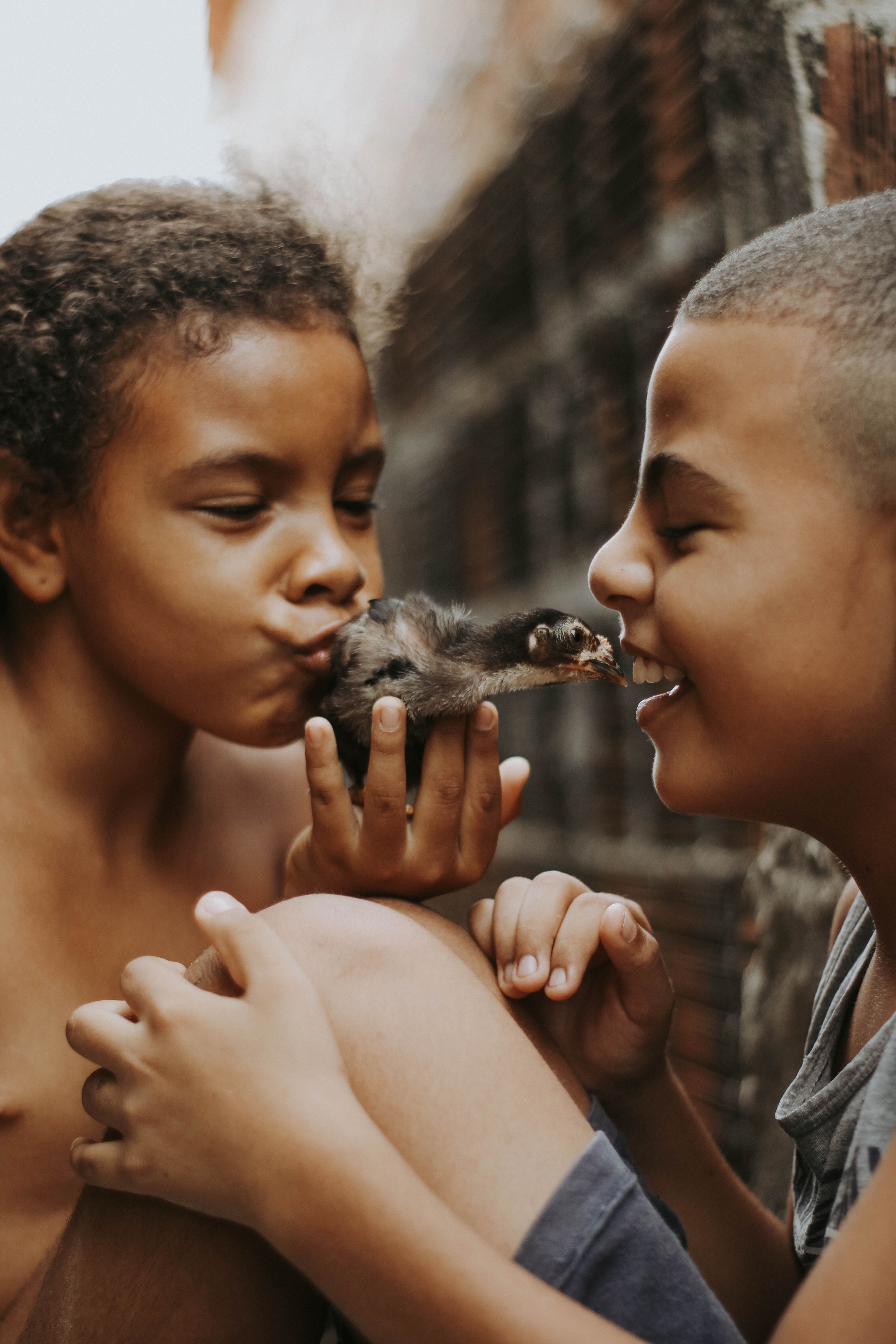 Children Playing with a Small Chick Outdoors · Free Stock Photo