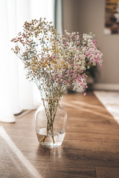 Vase With Flowers Photos, Download The BEST Free Vase With Flowers ...